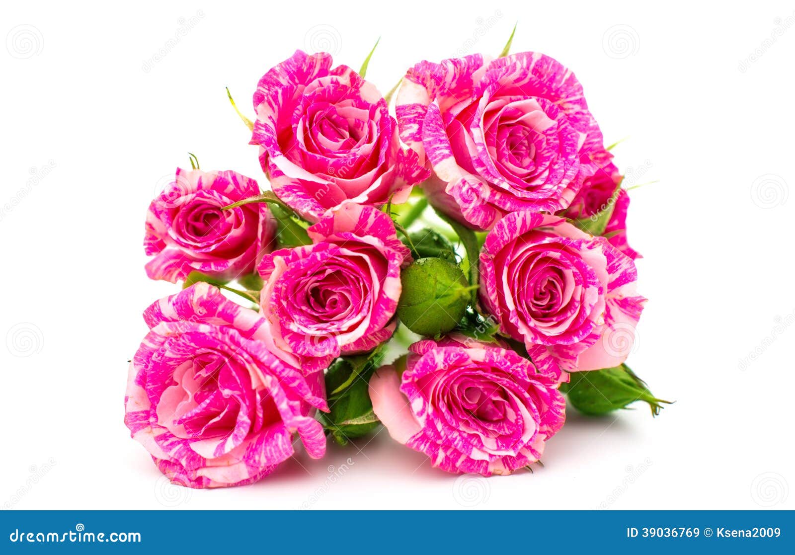 Little pink roses stock image. Image of gift, blossom - 39036769