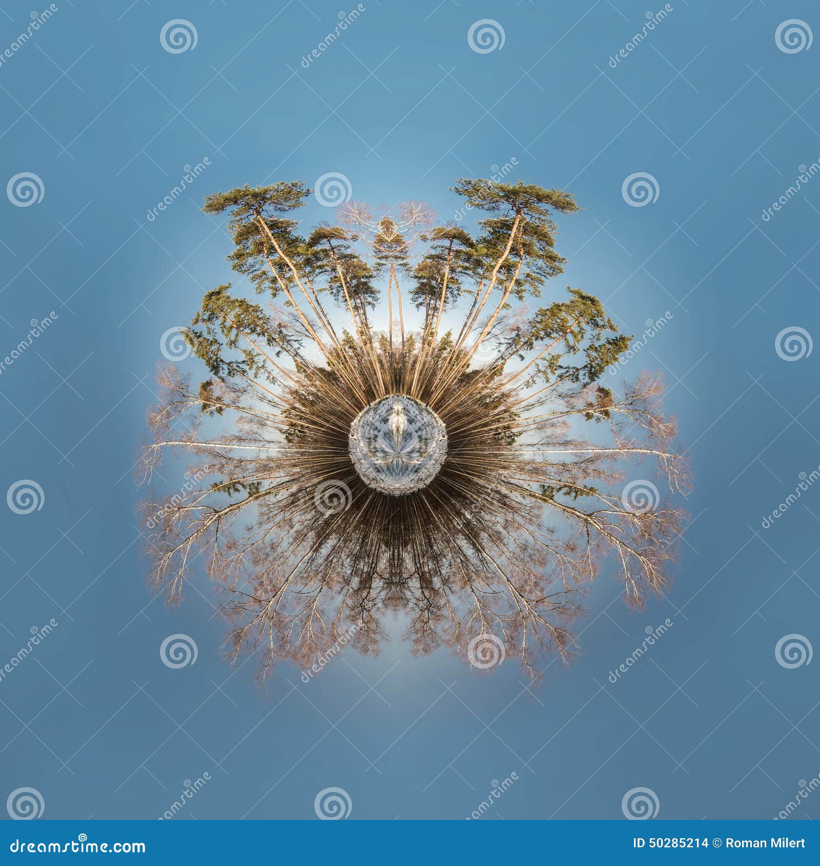 Little planet stock photo. Image of earth, woods, field - 50285214