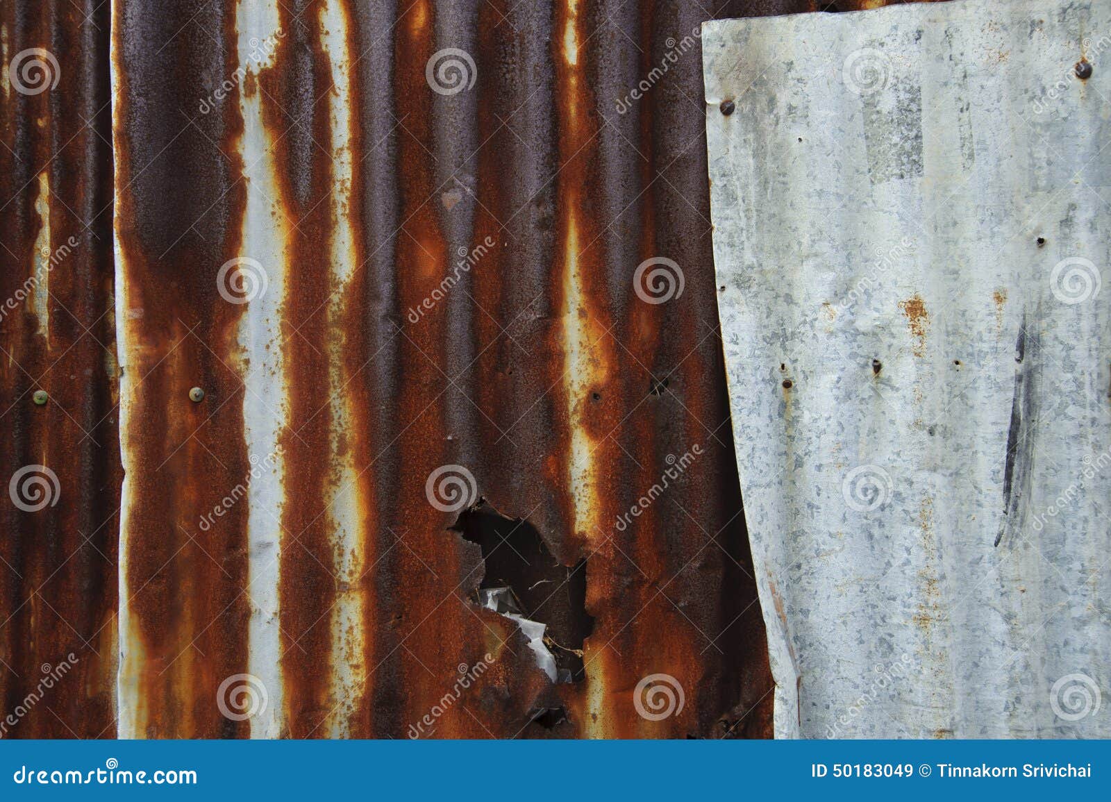 Little Plant Grow on Rust Metal Sheet Stock Image - Image of grey ...