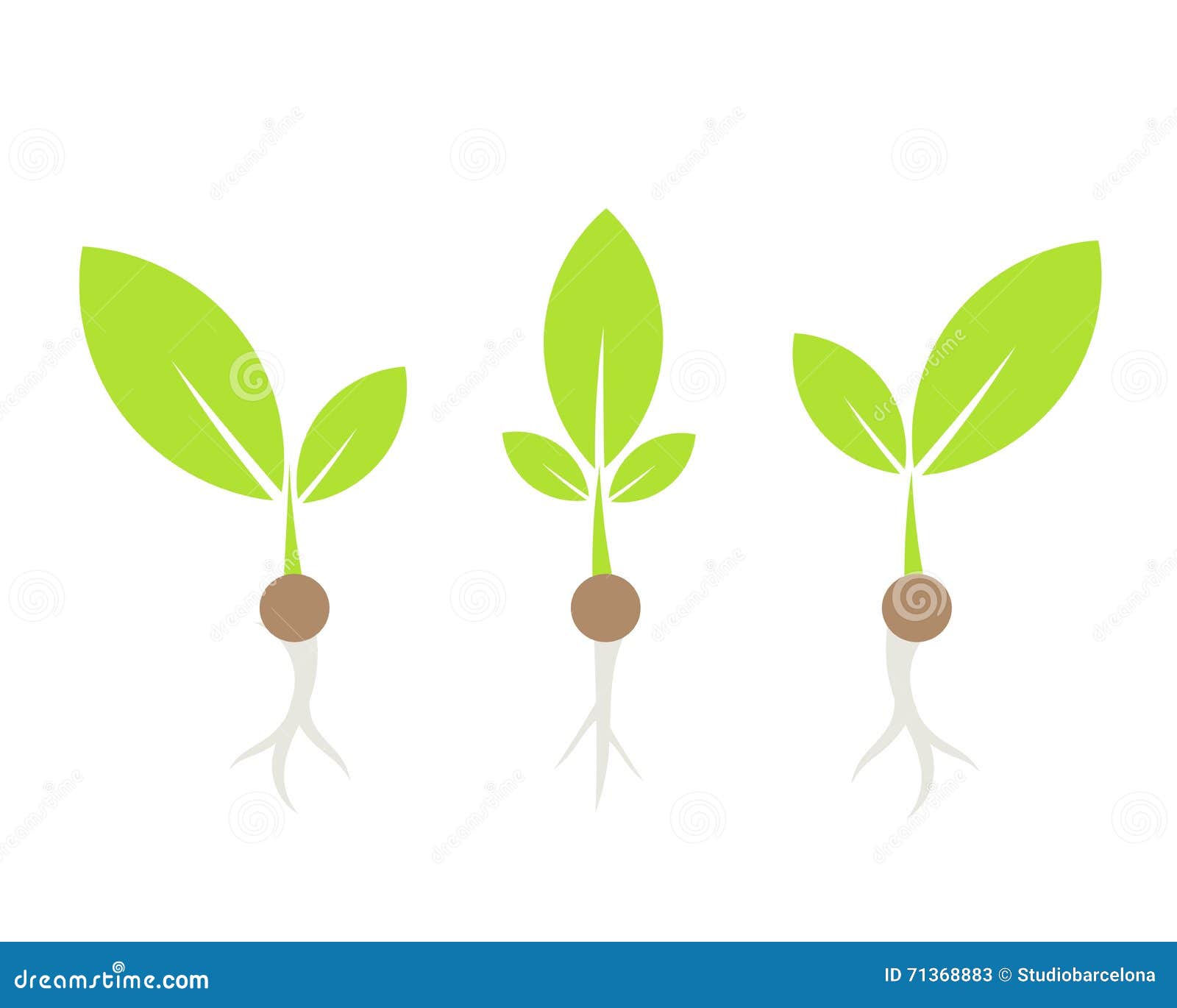 Little plants vector stock vector. Illustration of beginning - 71368883