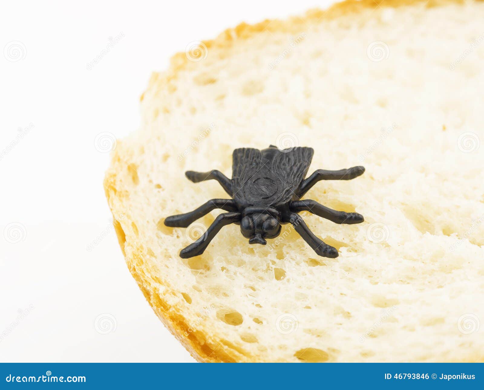 Little Plastic Fly (bug) on Bread Stock Photo - Image of body, dung ...