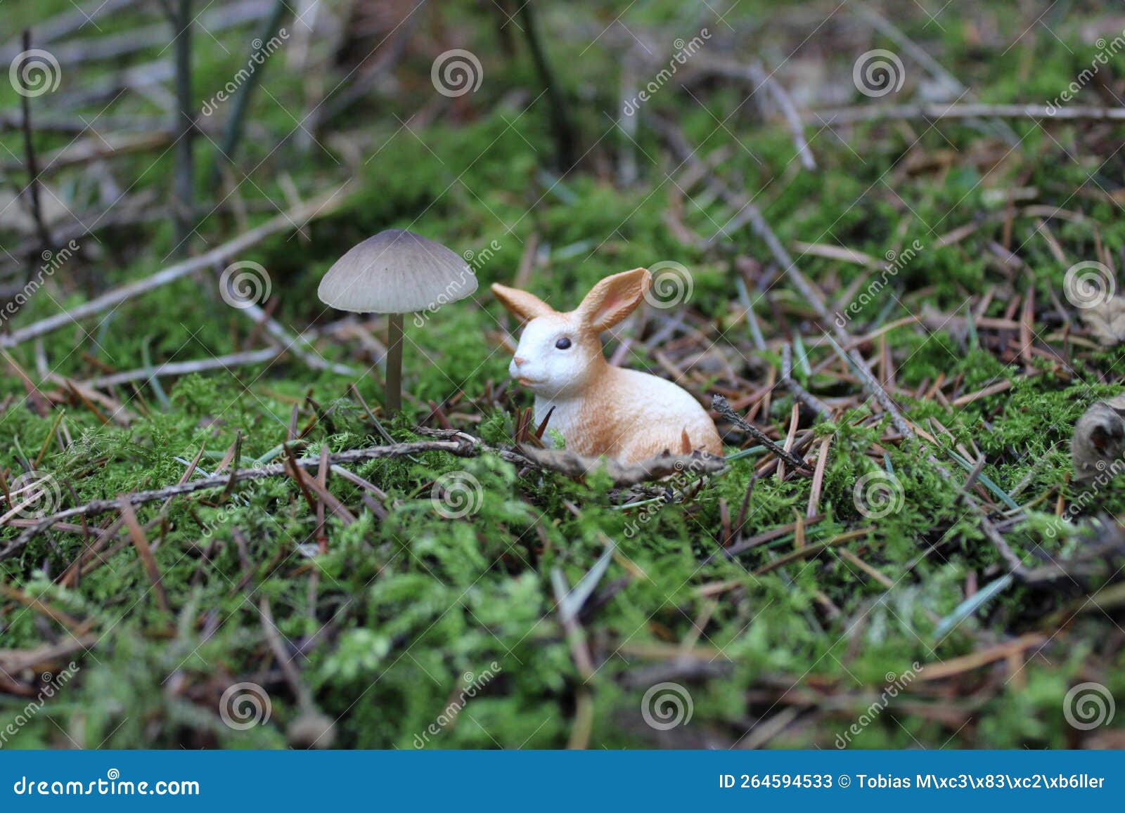Little plastic rabbit stock image. Image of rabbit, autumn - 264594533