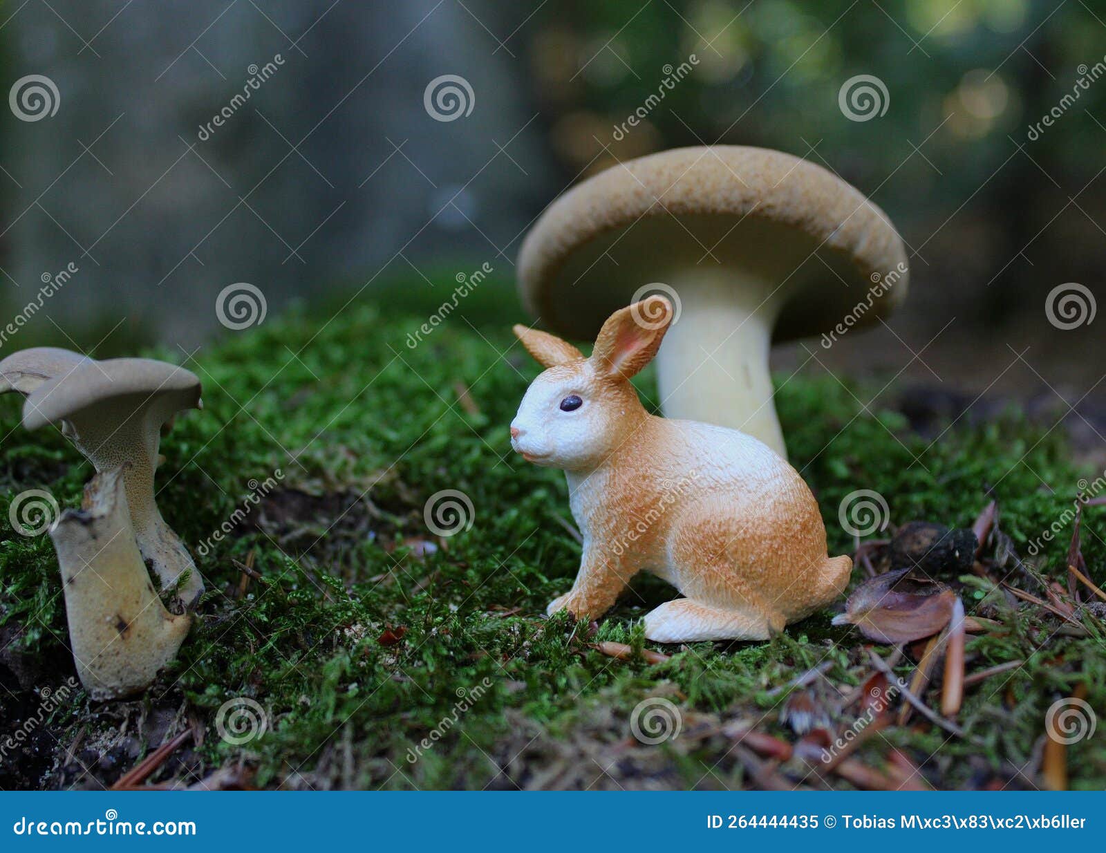 Little plastic rabbit stock image. Image of plant, flower - 264444435