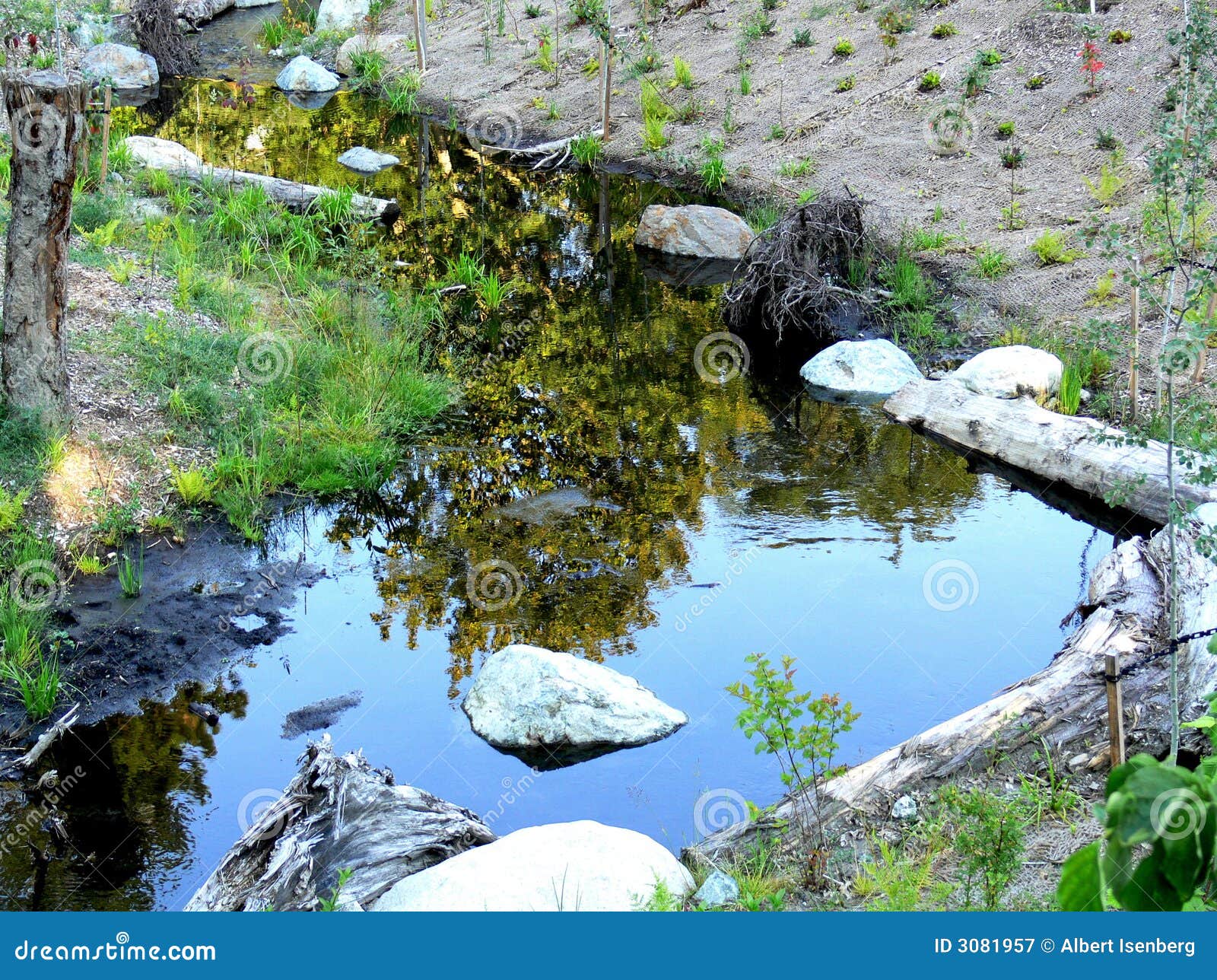 Little Pond stock image. Image of pond, restoration, water - 3081957
