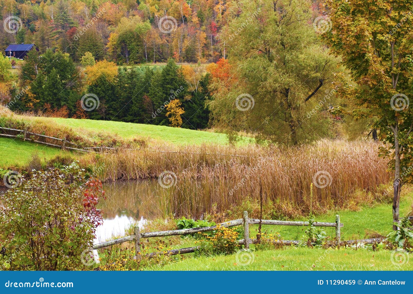 Little Pond Amid Bright Fall Colors Stock Image - Image of woods, pond ...