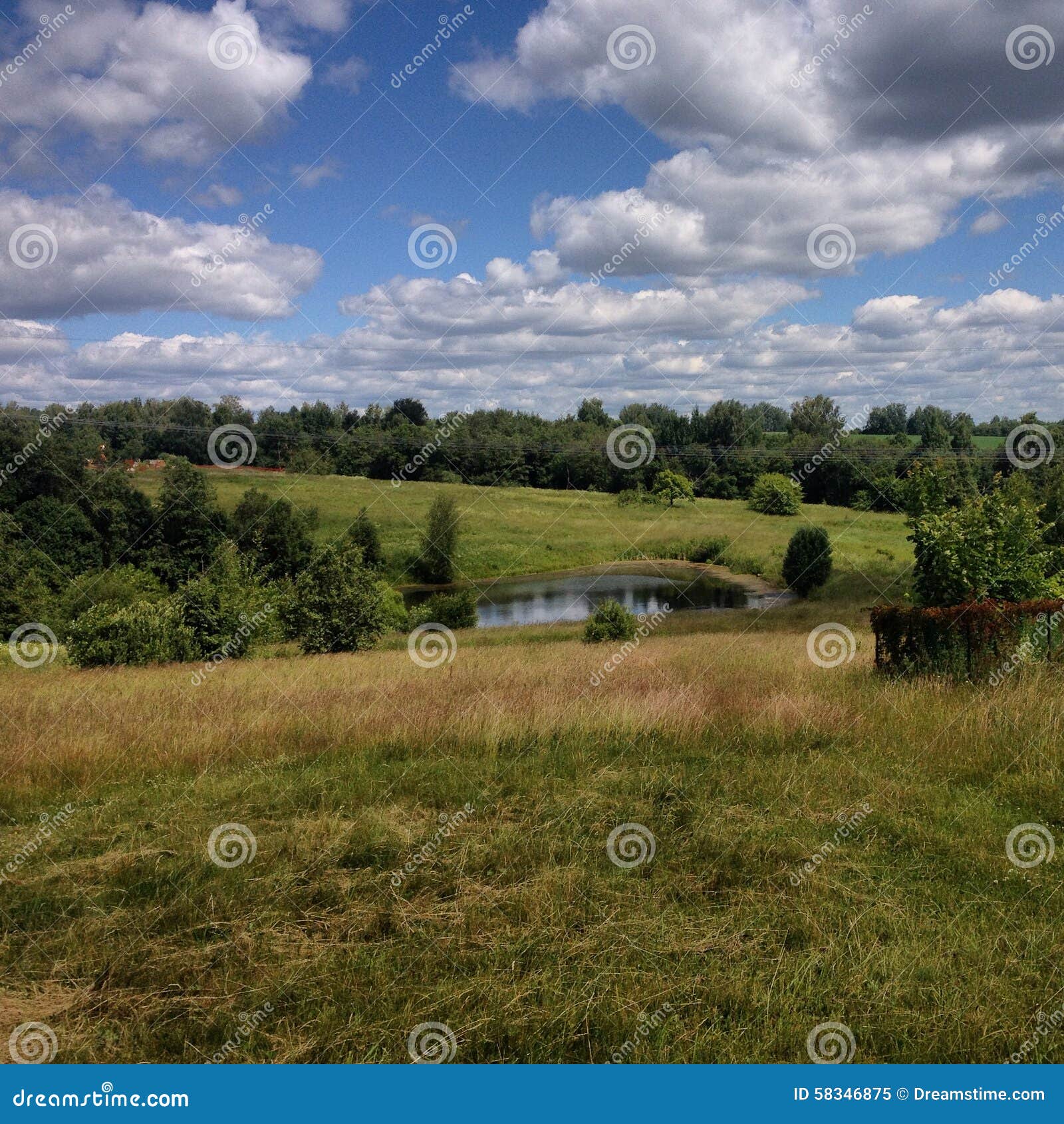 Little pond stock image. Image of little, field, landscapes - 58346875