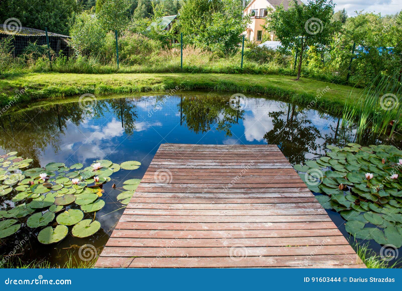 Little pond stock photo. Image of living, house, pond - 91603444