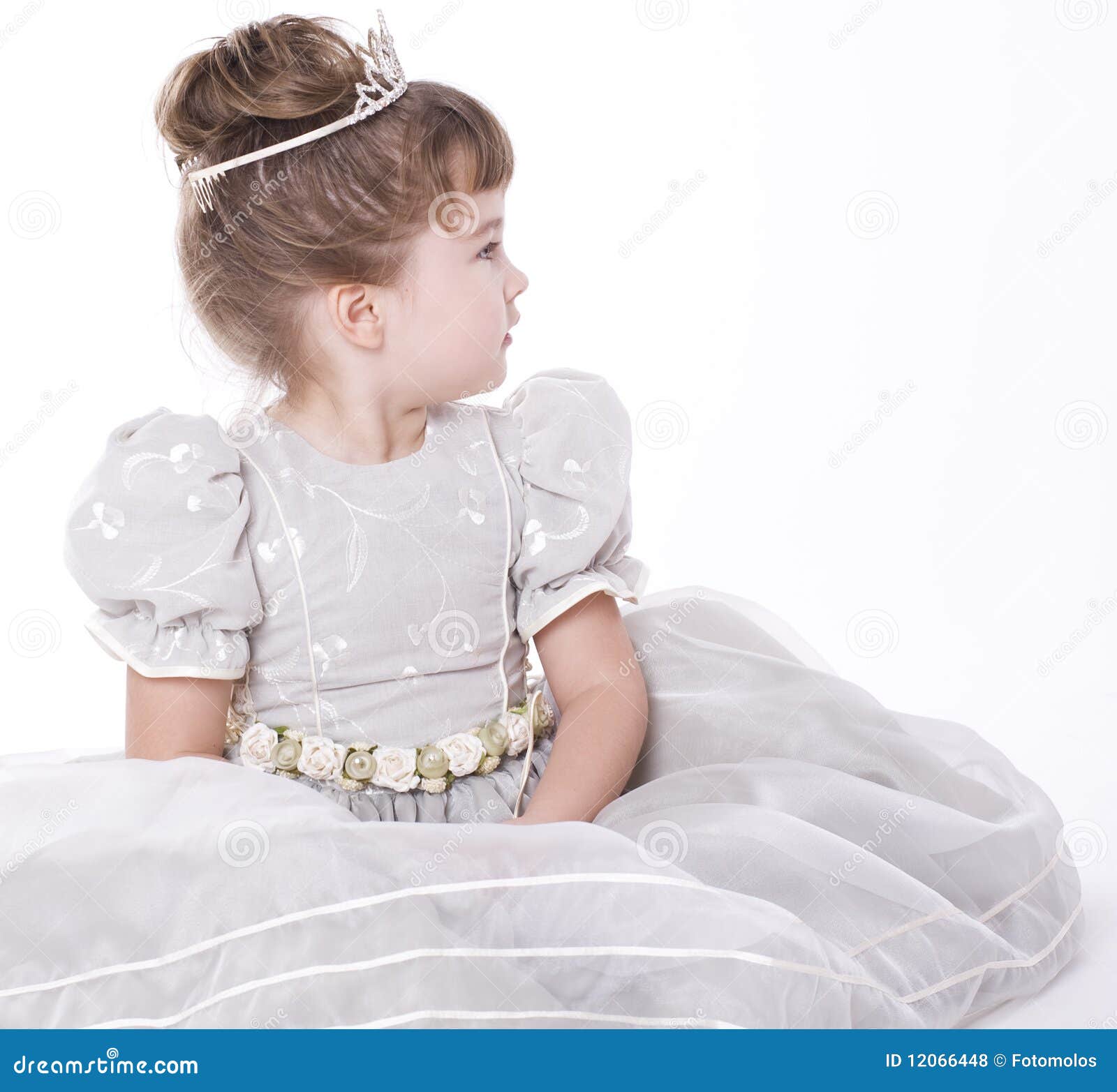 Little princess stock photo. Image of playful, princess - 12066448