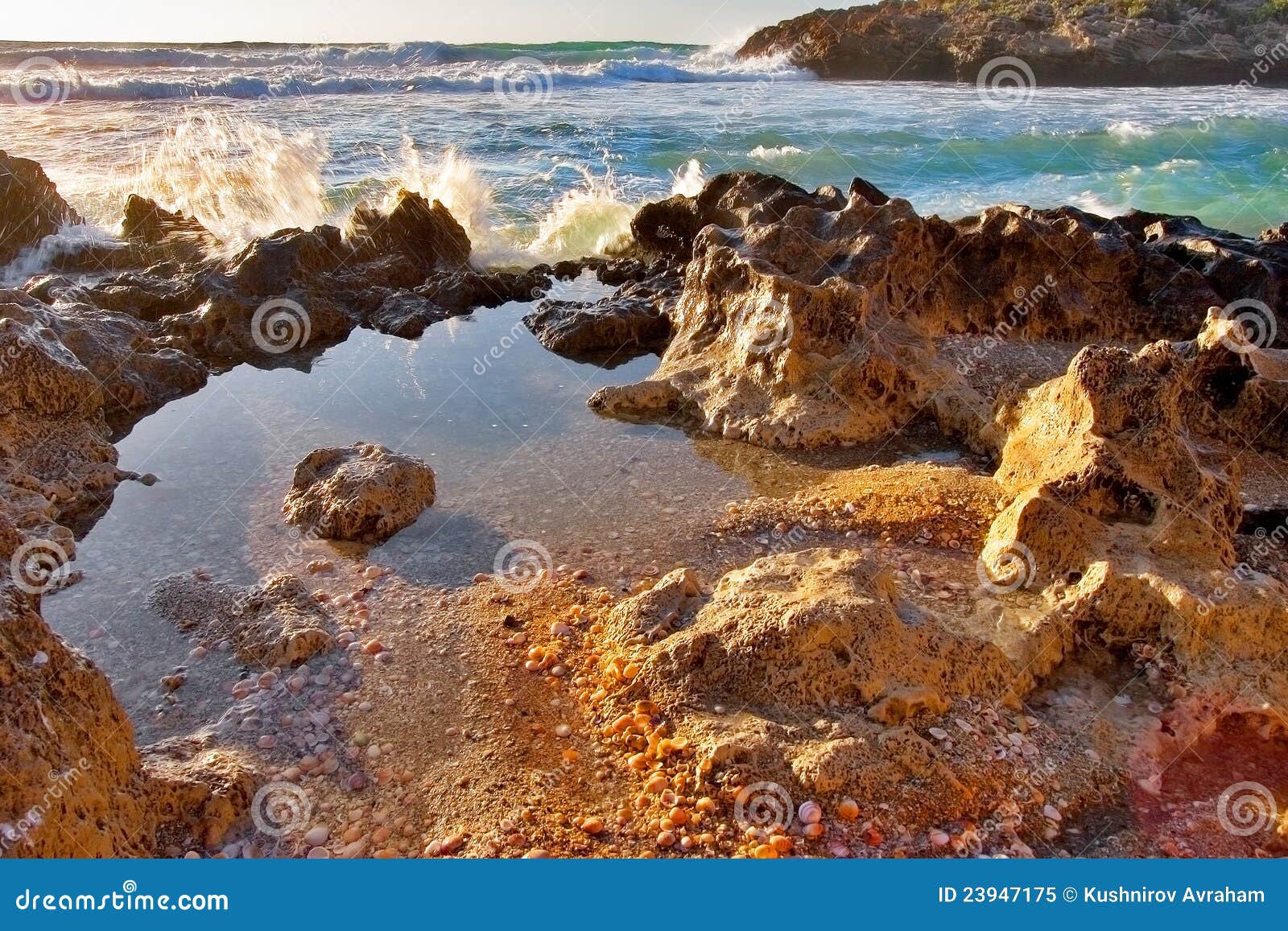 Little puddle stock image. Image of reef, horizon, reflection - 23947175