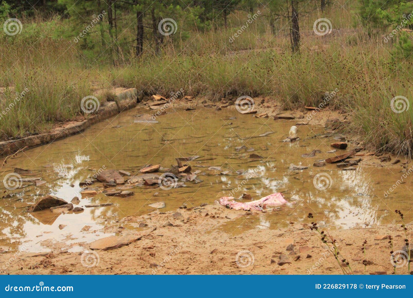 Little puddle stock photo. Image of nature, mudd, water - 226829178