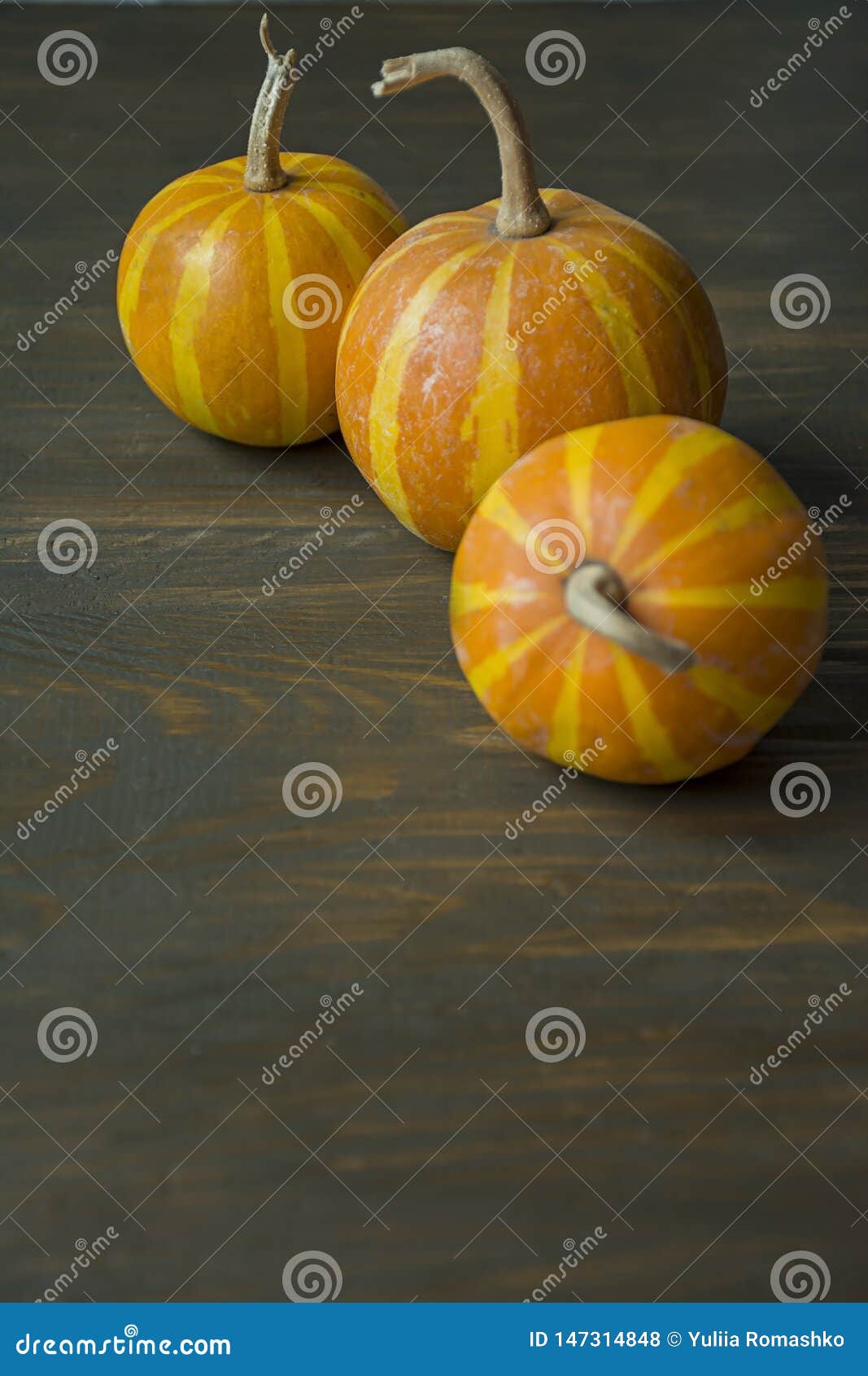 Little Pumpkins. Decorative Pumpkin on the Table. Halloween. View from ...