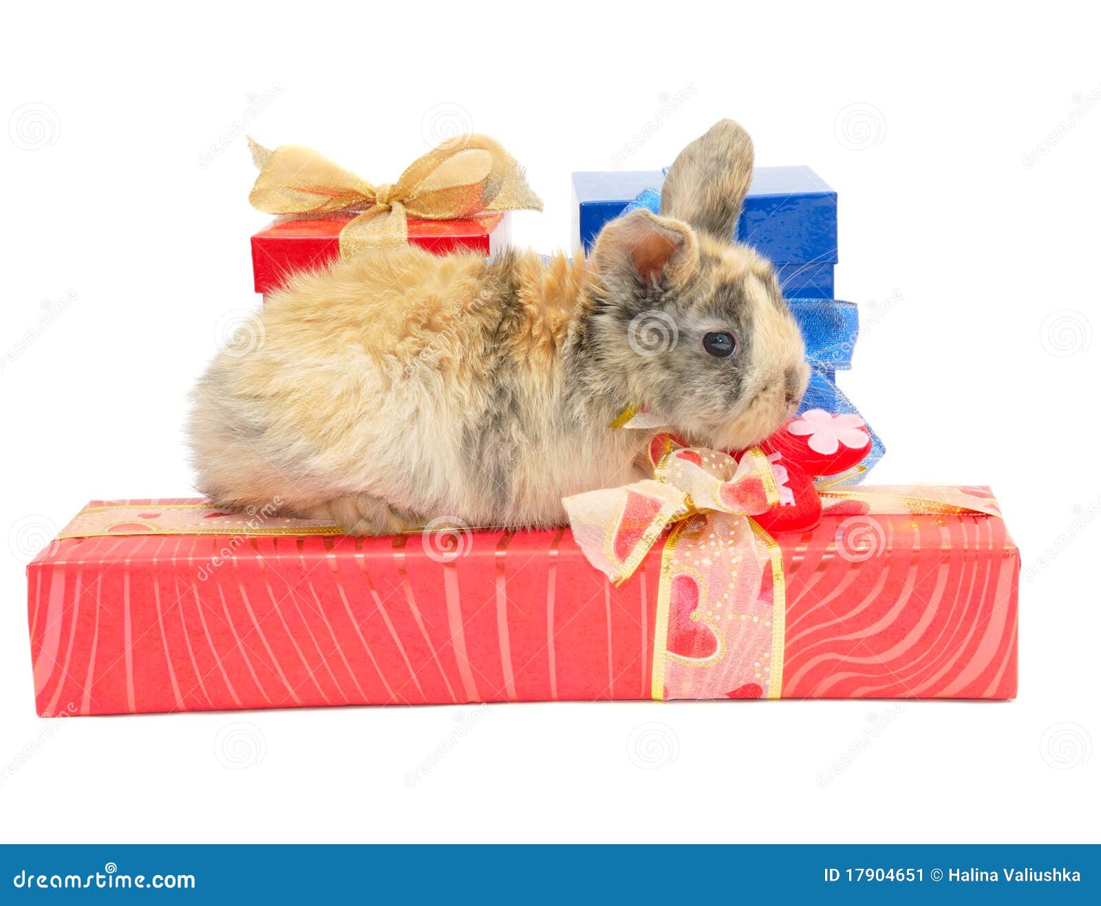 Little Rabbit on the Boxes with Gifts Stock Image - Image of holiday ...