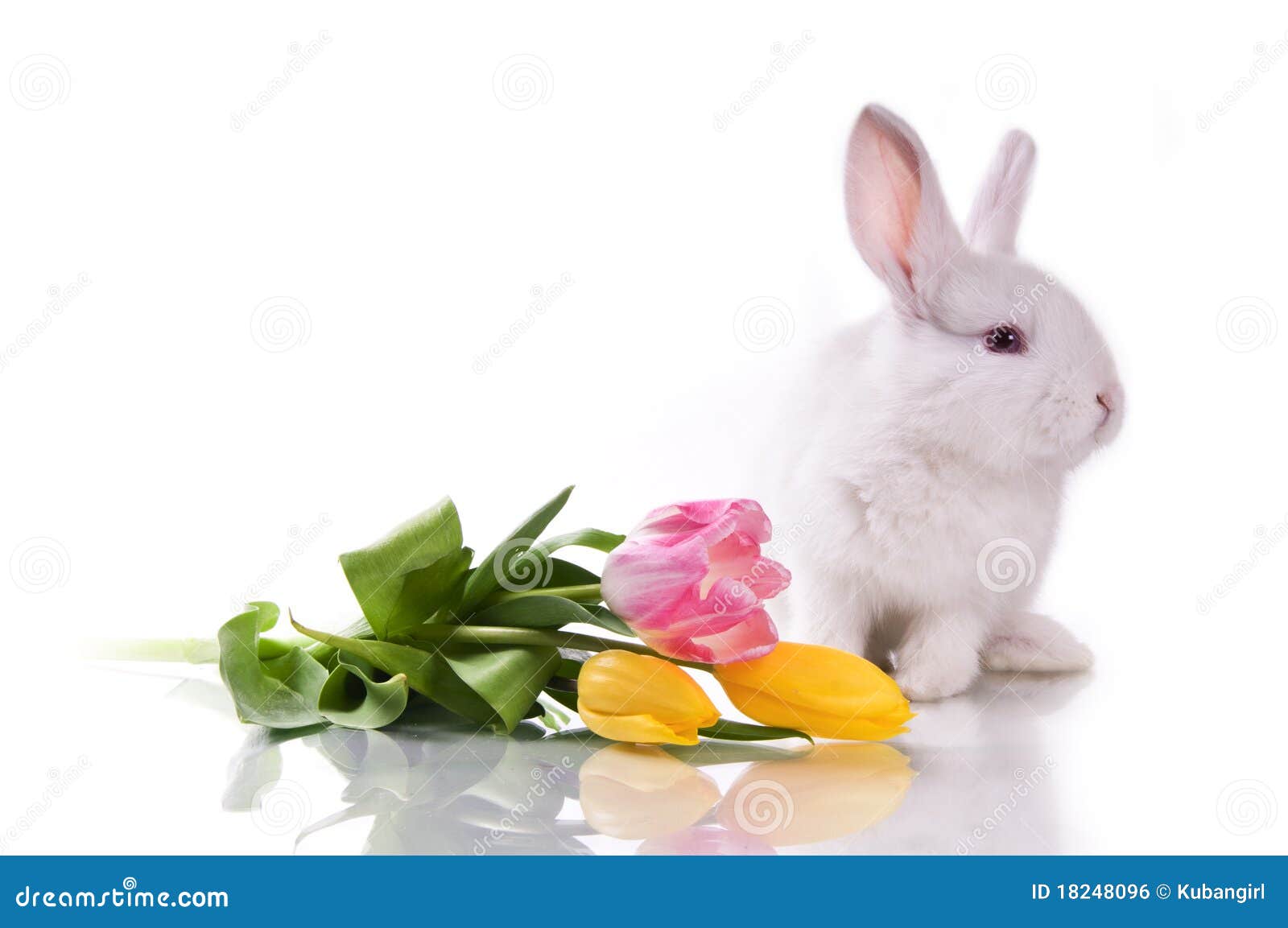 Little rabbit and flowers stock photo. Image of small - 18248096