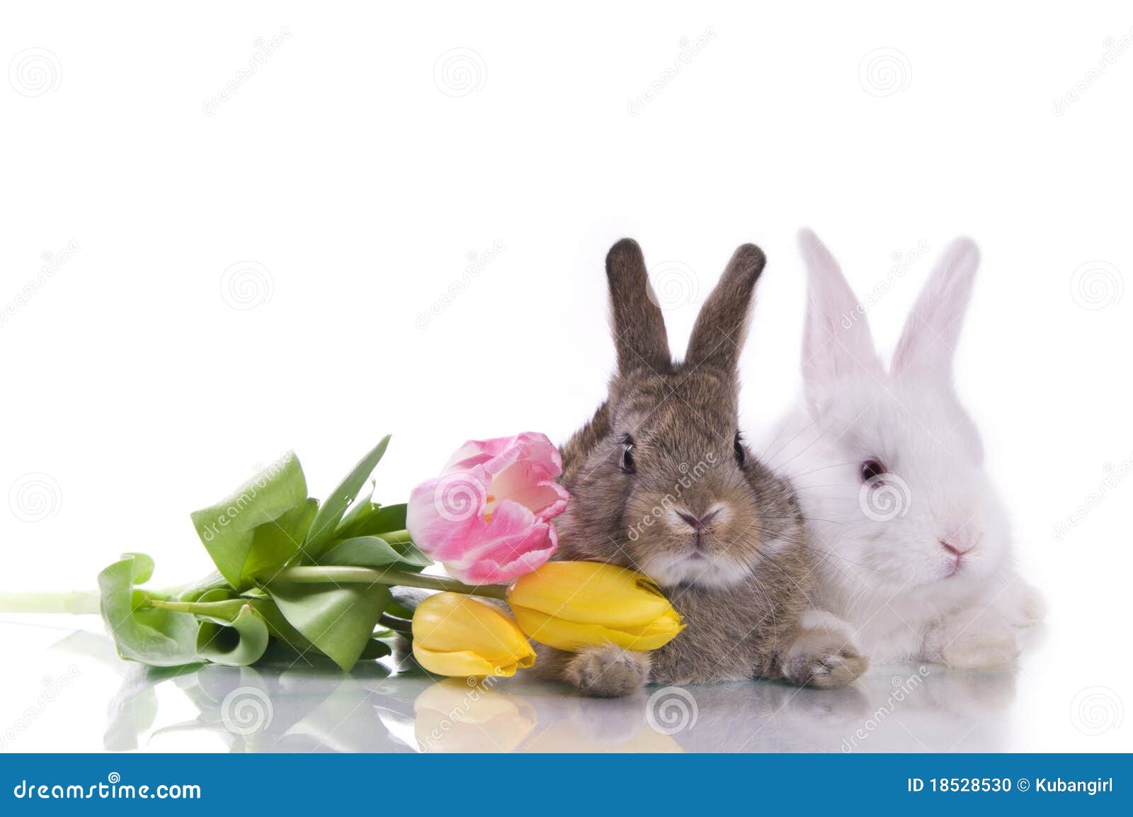 Little rabbit and flowers stock photo. Image of flower - 18528530