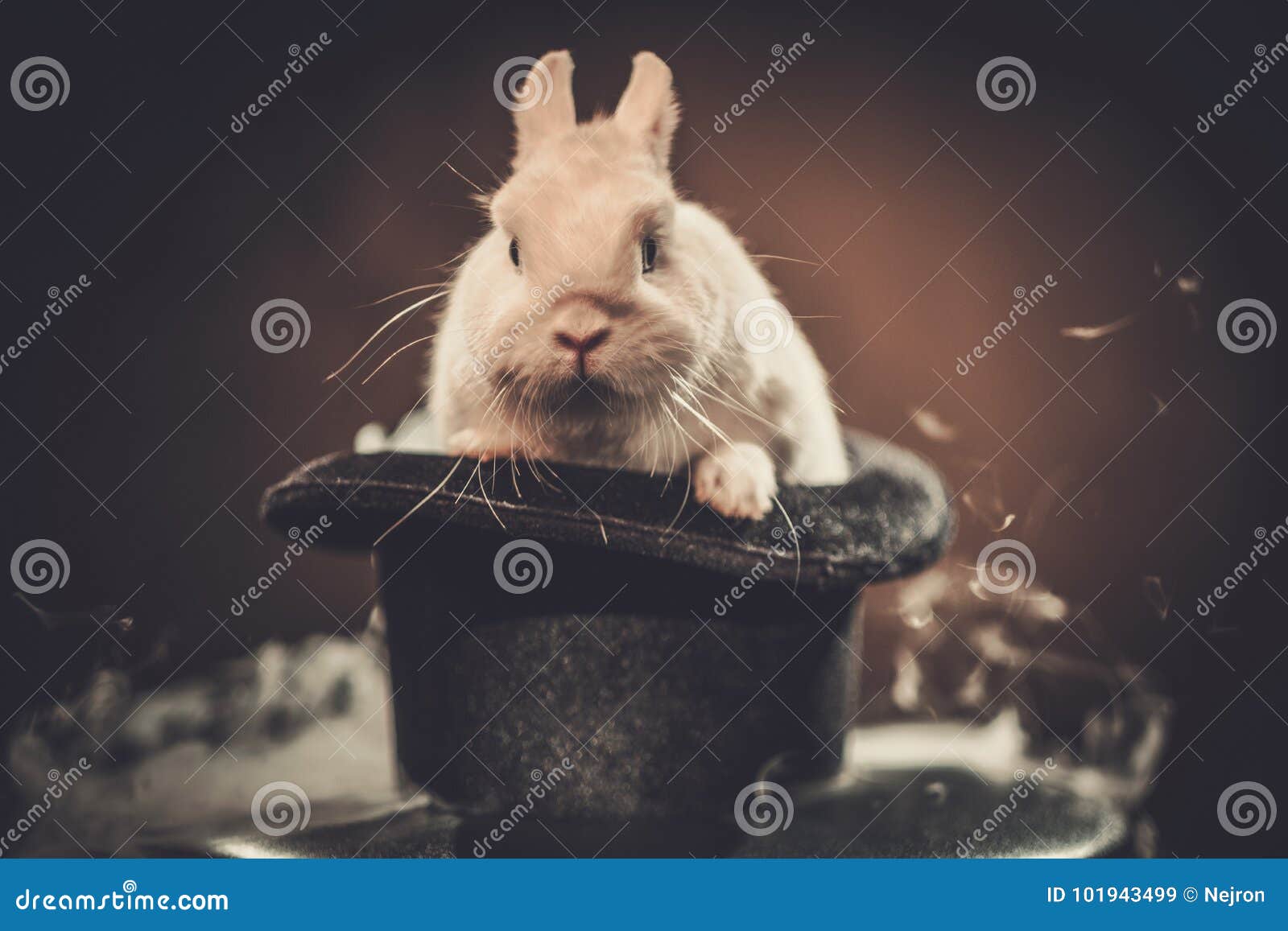 Little Rabbit in a Magician Hat Stock Image - Image of magic ...