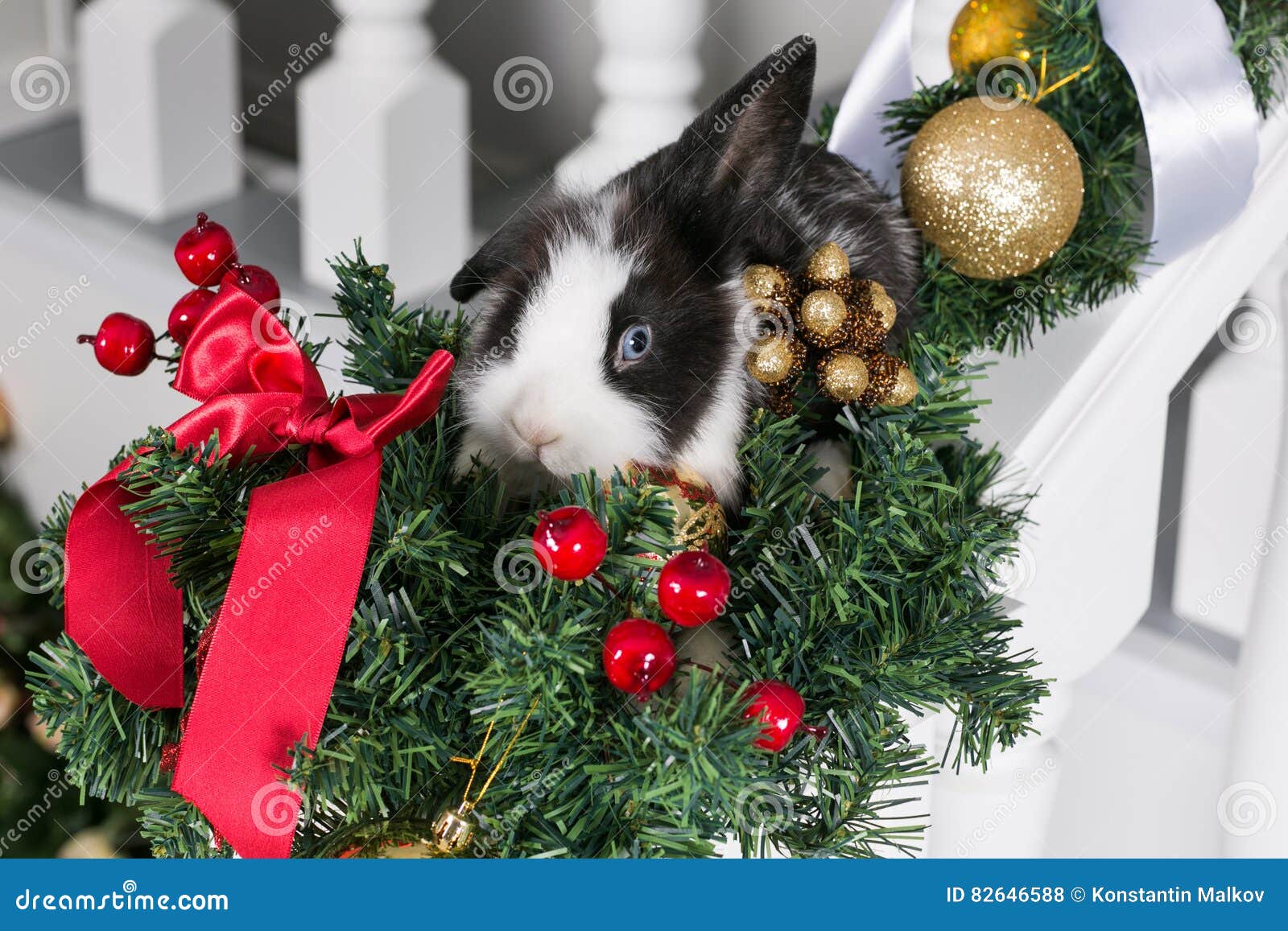Little Rabbit Sits Under the Christmas Tree Stock Photo - Image of ...