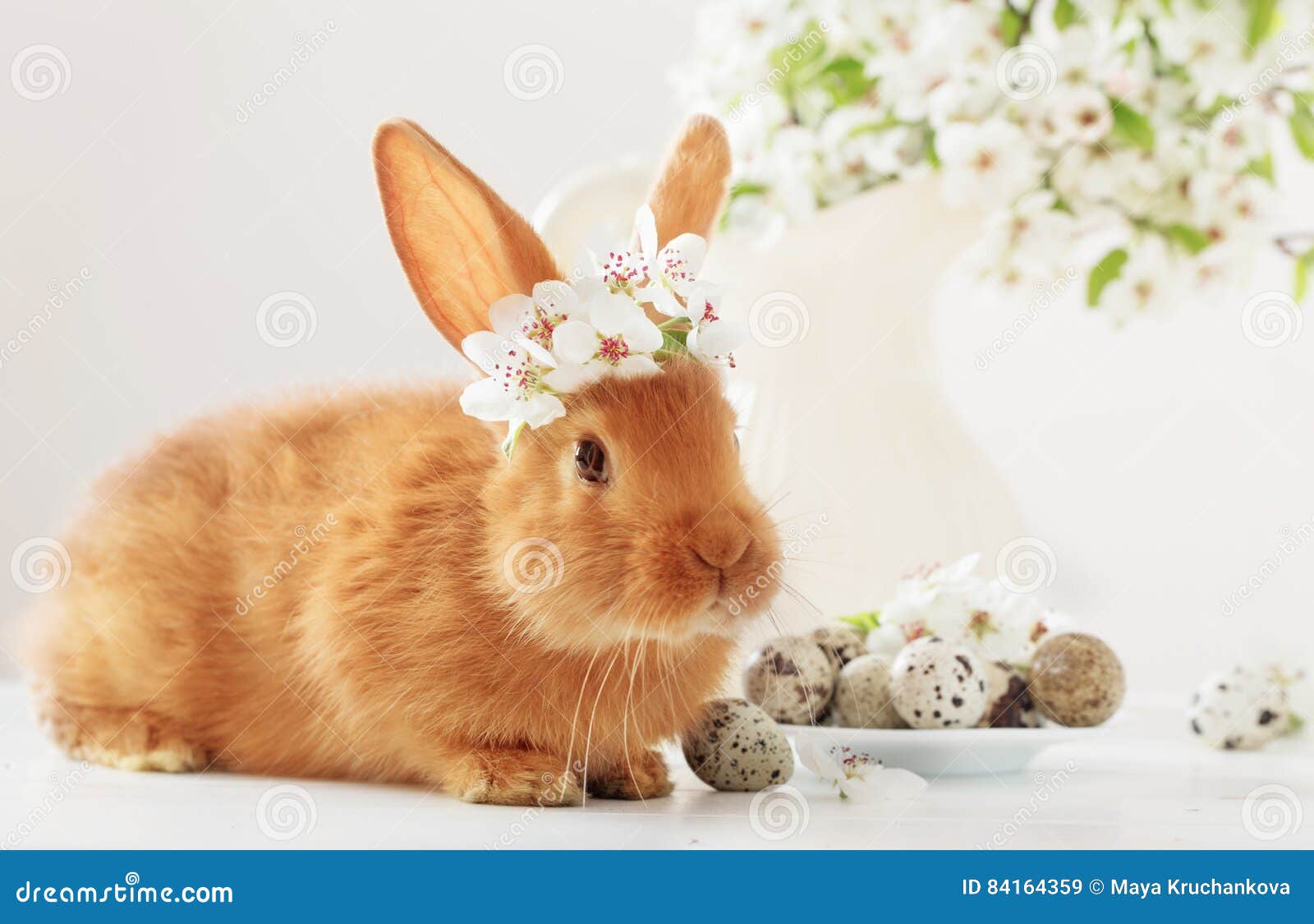 Little Rabbit with Spring Flowers Stock Image - Image of branch, cherry ...