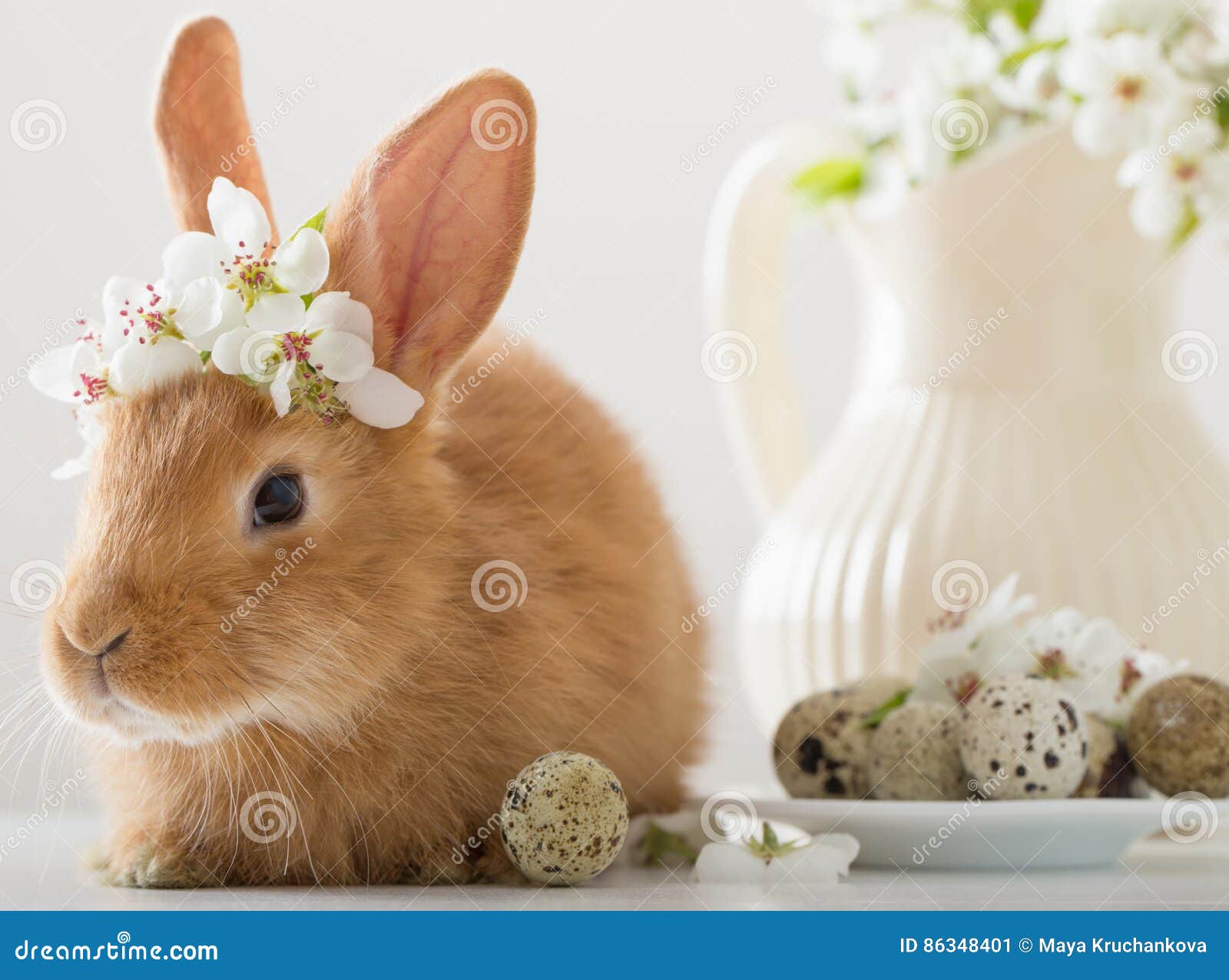 Little Rabbit with Spring Flowers Stock Image - Image of animal ...