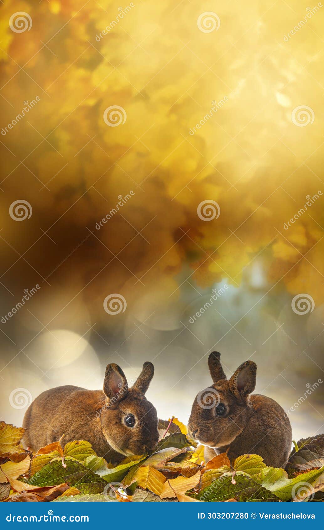 Little Rabbits and an Autumnal Leaves Stock Photo - Image of wicker ...