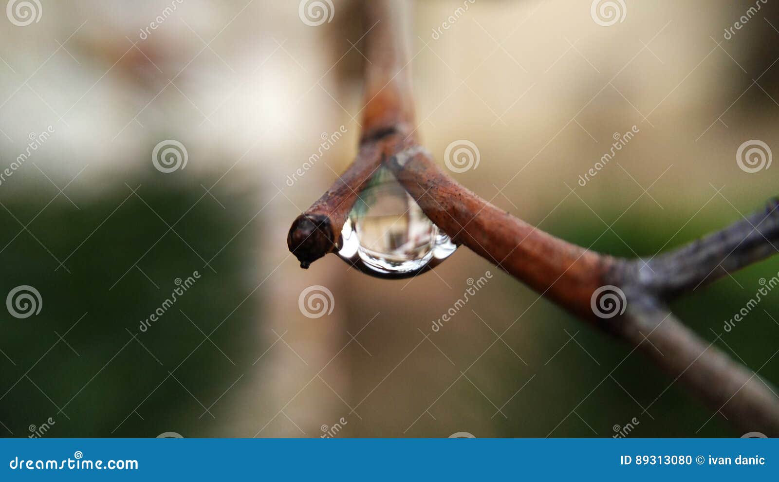 Little rain drop stock photo. Image of water, little - 89313080