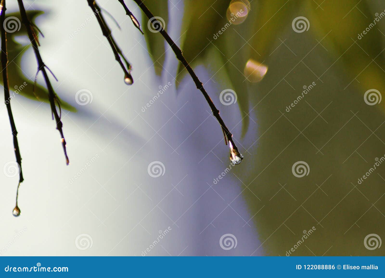 Little rain drops stock photo. Image of rain, summer - 122088886