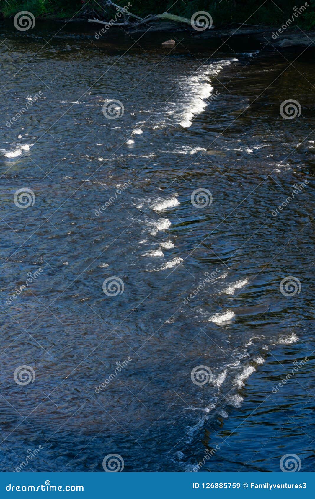 Little Rapids Formed in a Line on a River Stock Image - Image of green ...