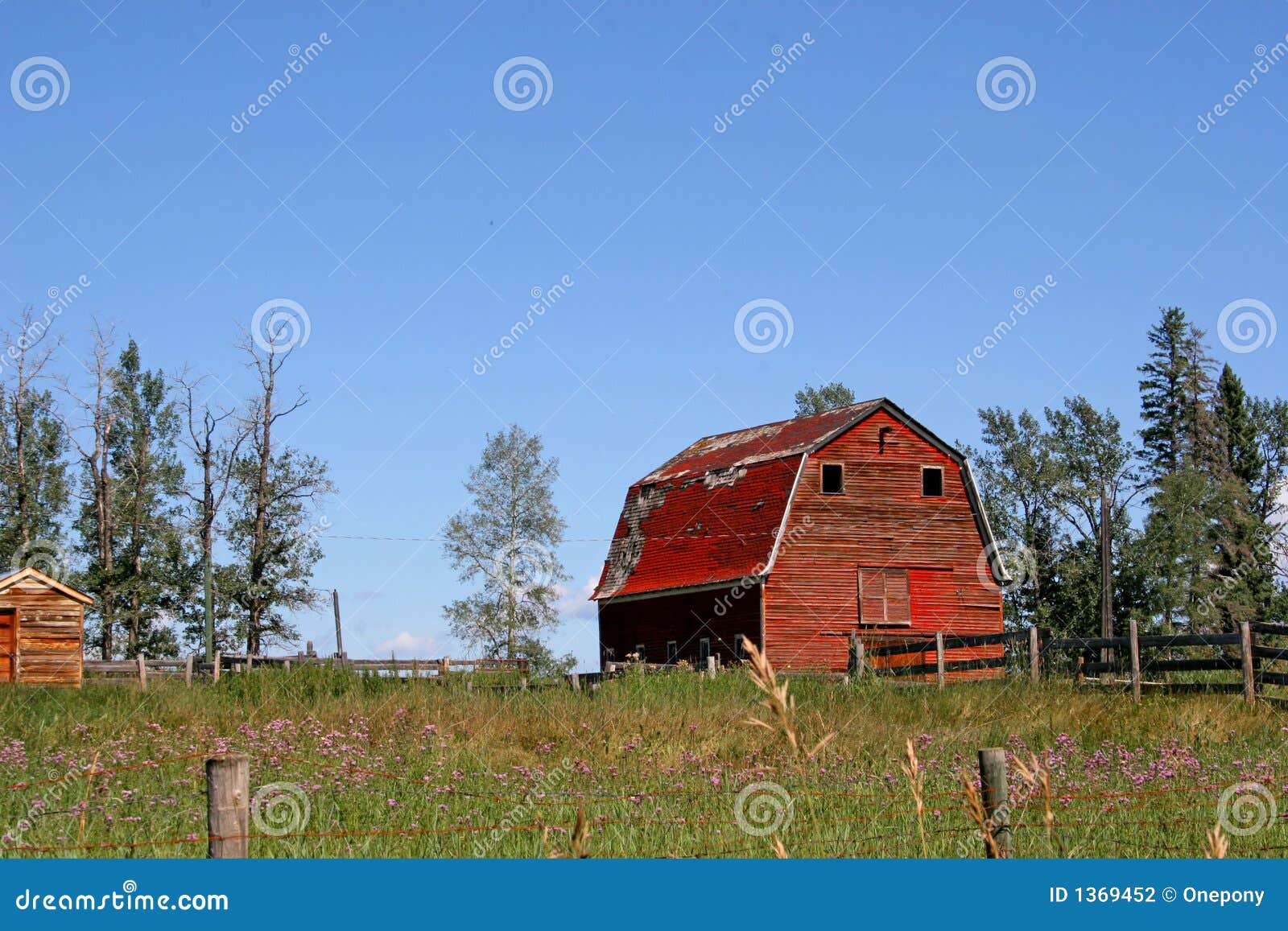 Little Red Barn stock photo. Image of wooden, fence, fields - 1369452