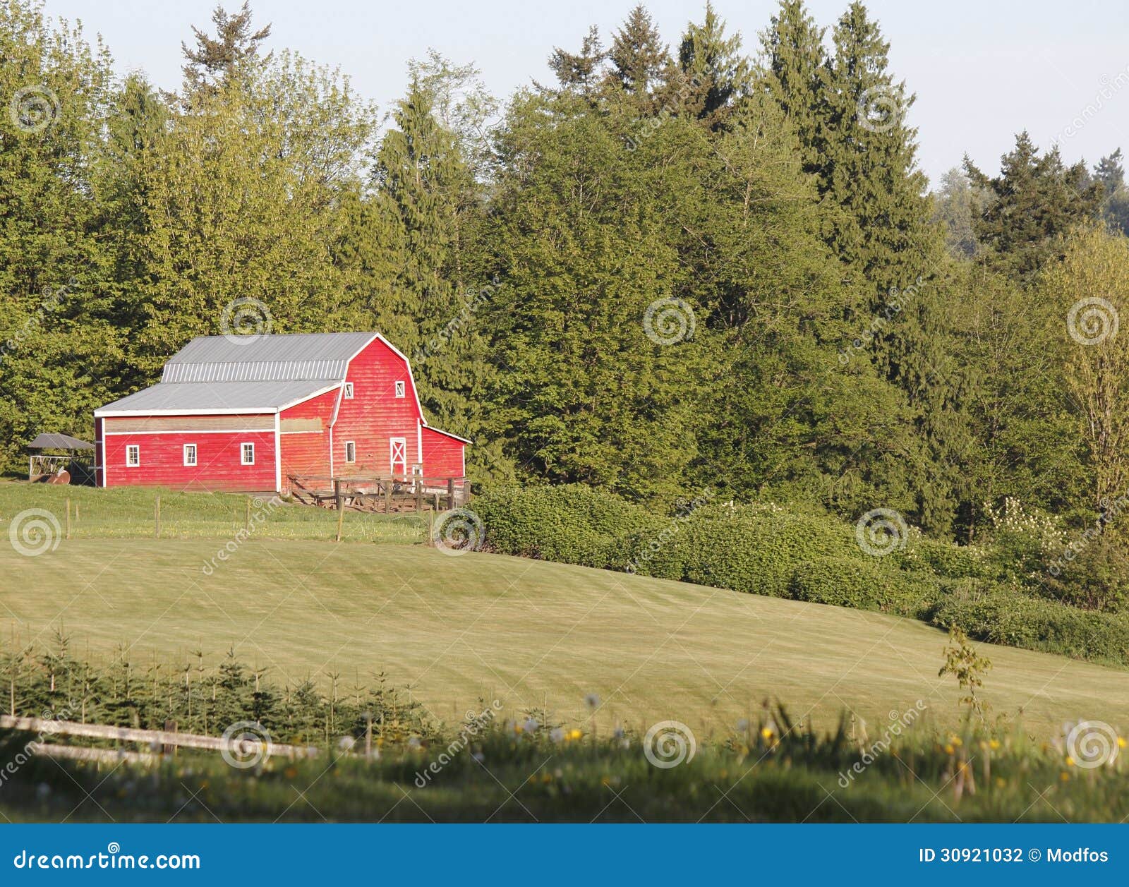 Little Red Barn stock photo. Image of wooden, outdoor - 30921032