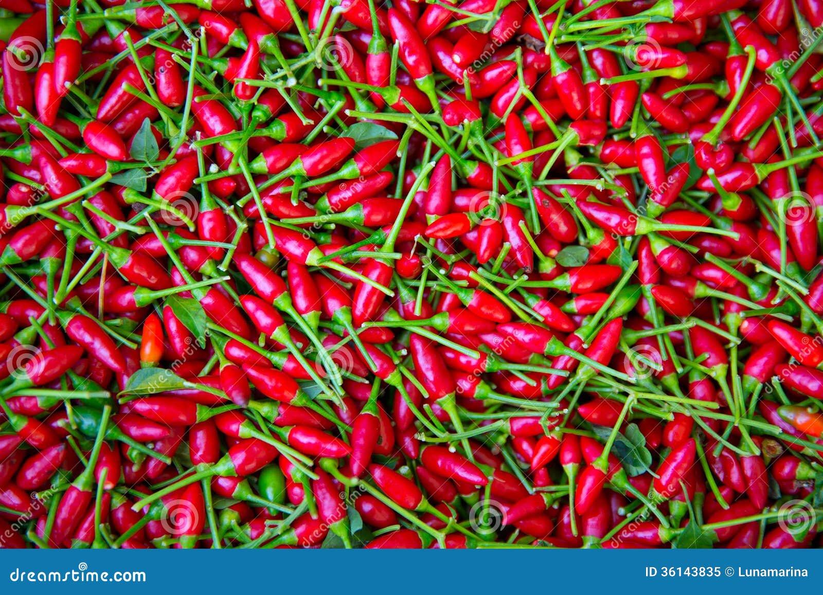 Little Red Chili Peppers Texture Background Royalty Free Stock Photo ...