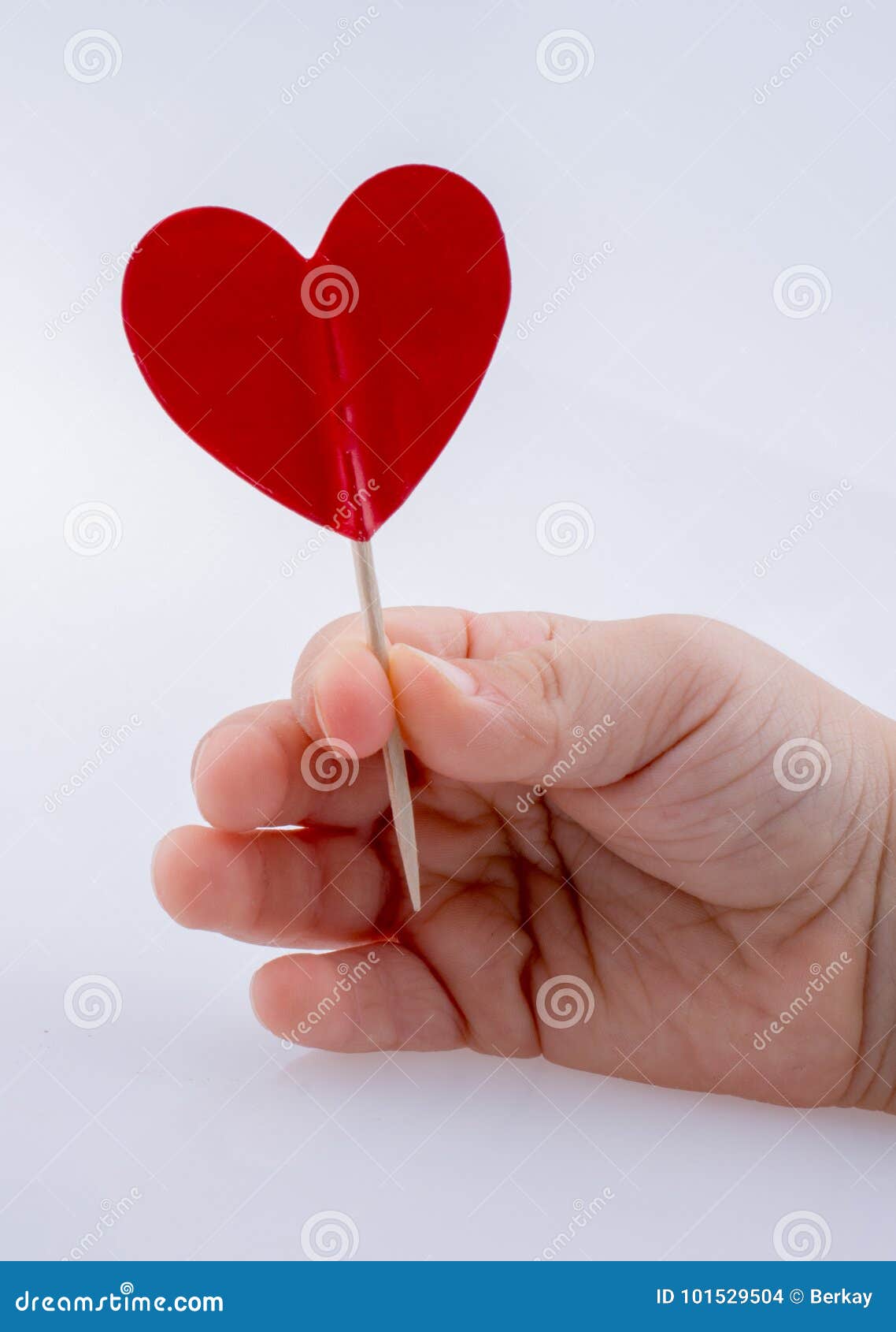 Little Red Color Heart Shape in Hand Stock Illustration - Illustration ...