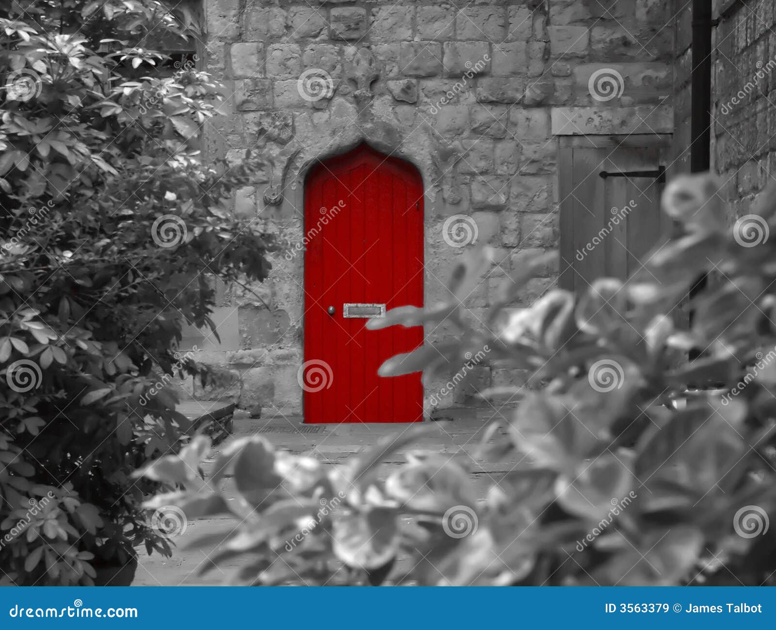 Little Red Door stock image. Image of mary, peaceful, plants - 3563379