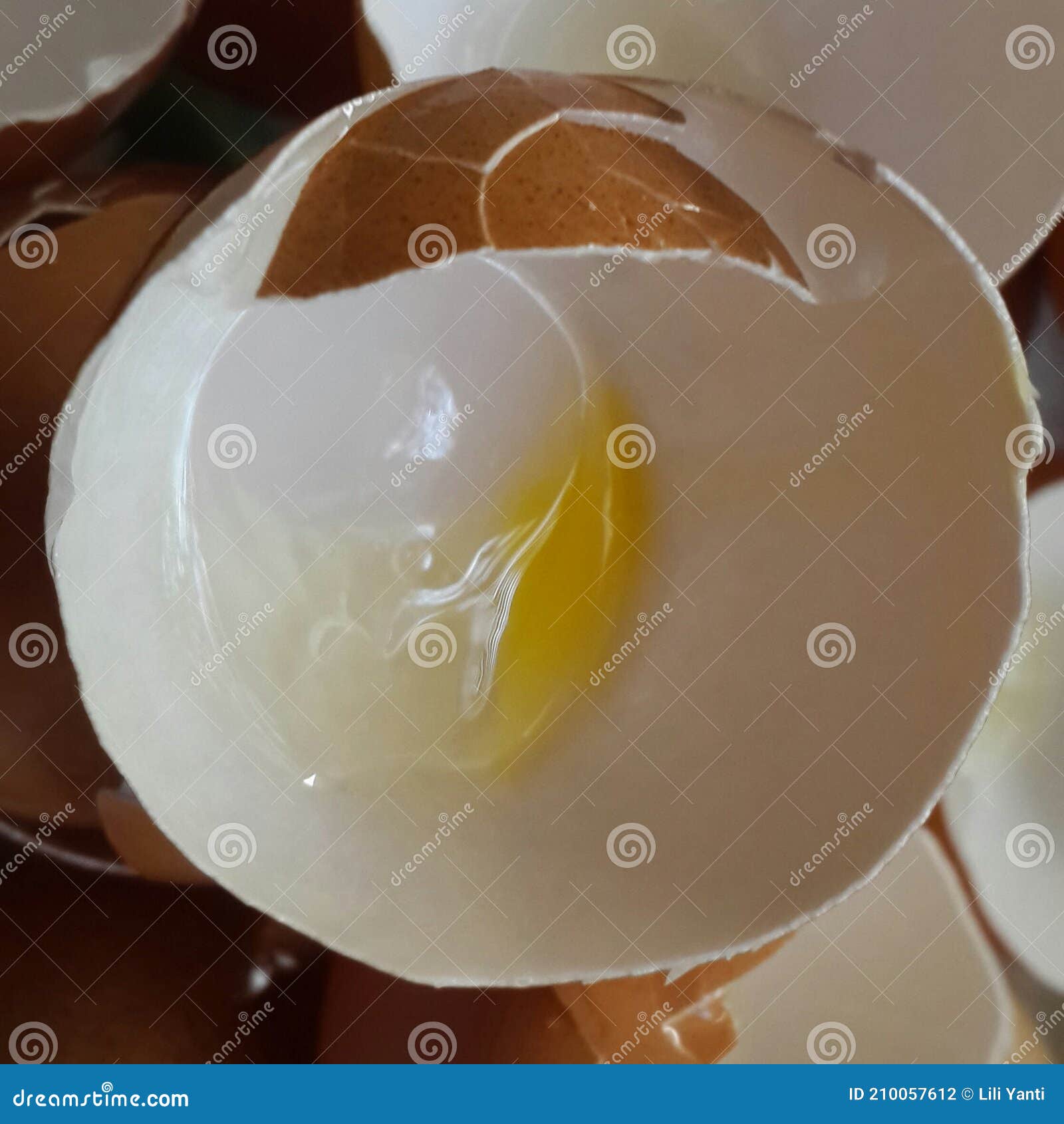 Little Red and Egg White Inside the Egg with a Splash of Light Stock ...