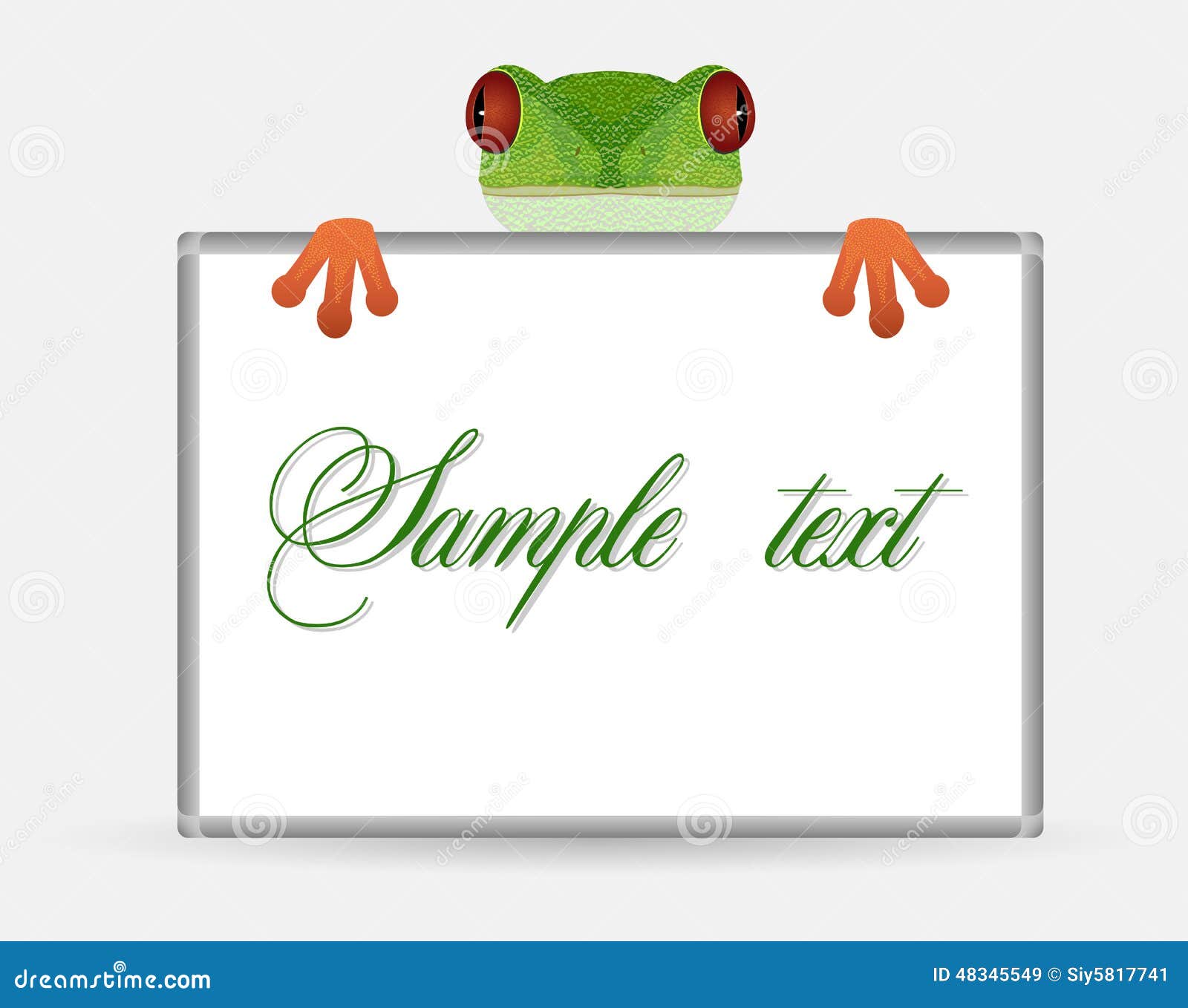 Little Red-eyed Tree Frog Is Holding Horizontal Frame For ...