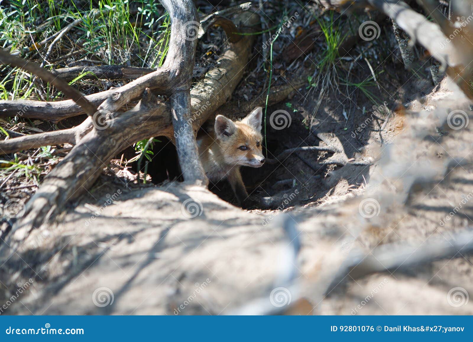 Royalty Free Images, Cartoons, Illustrations And Photos Designed By ...