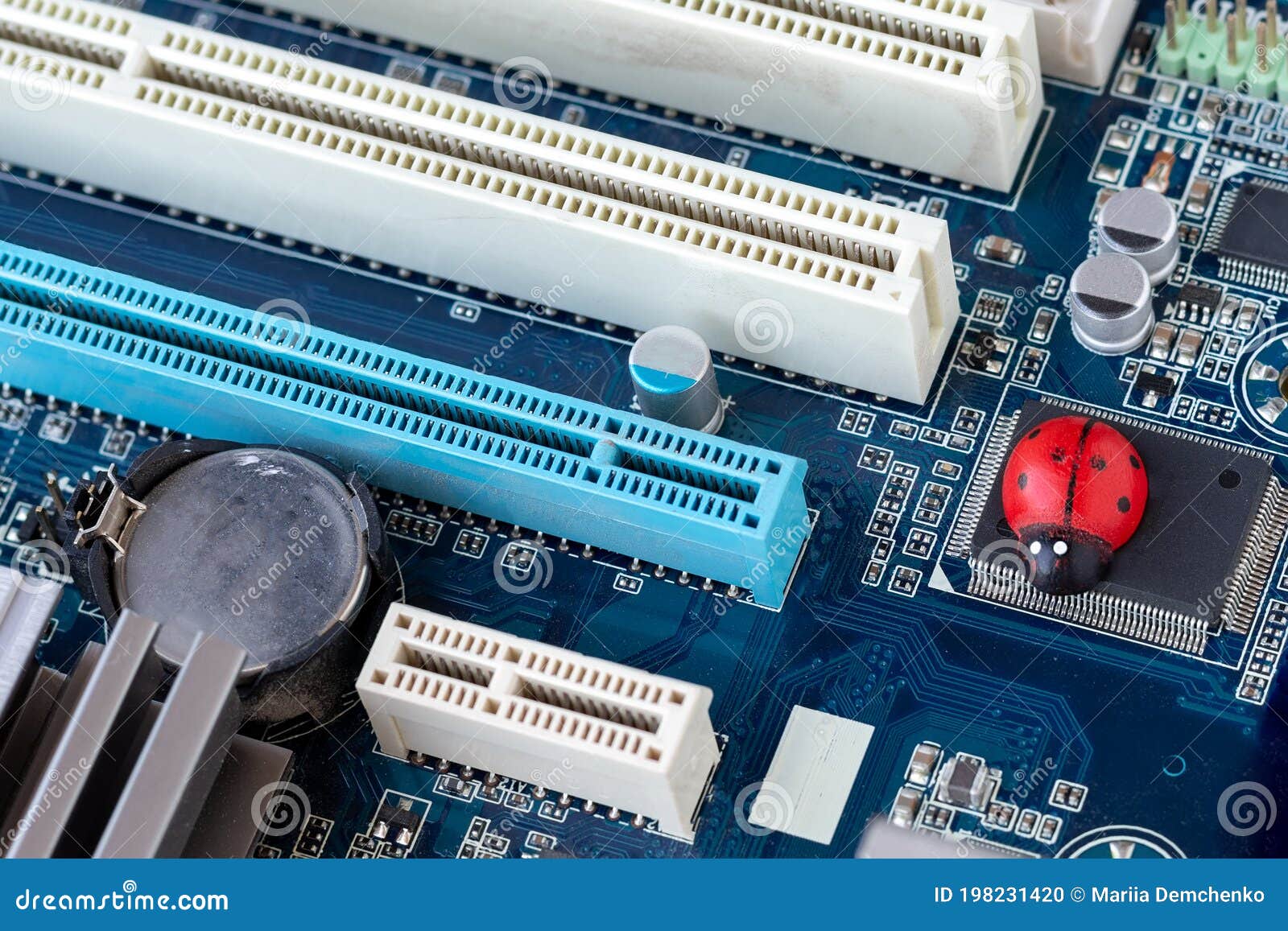 Little Red Ladybug on a Blue Motherboard. Concept of Computer Virus or ...