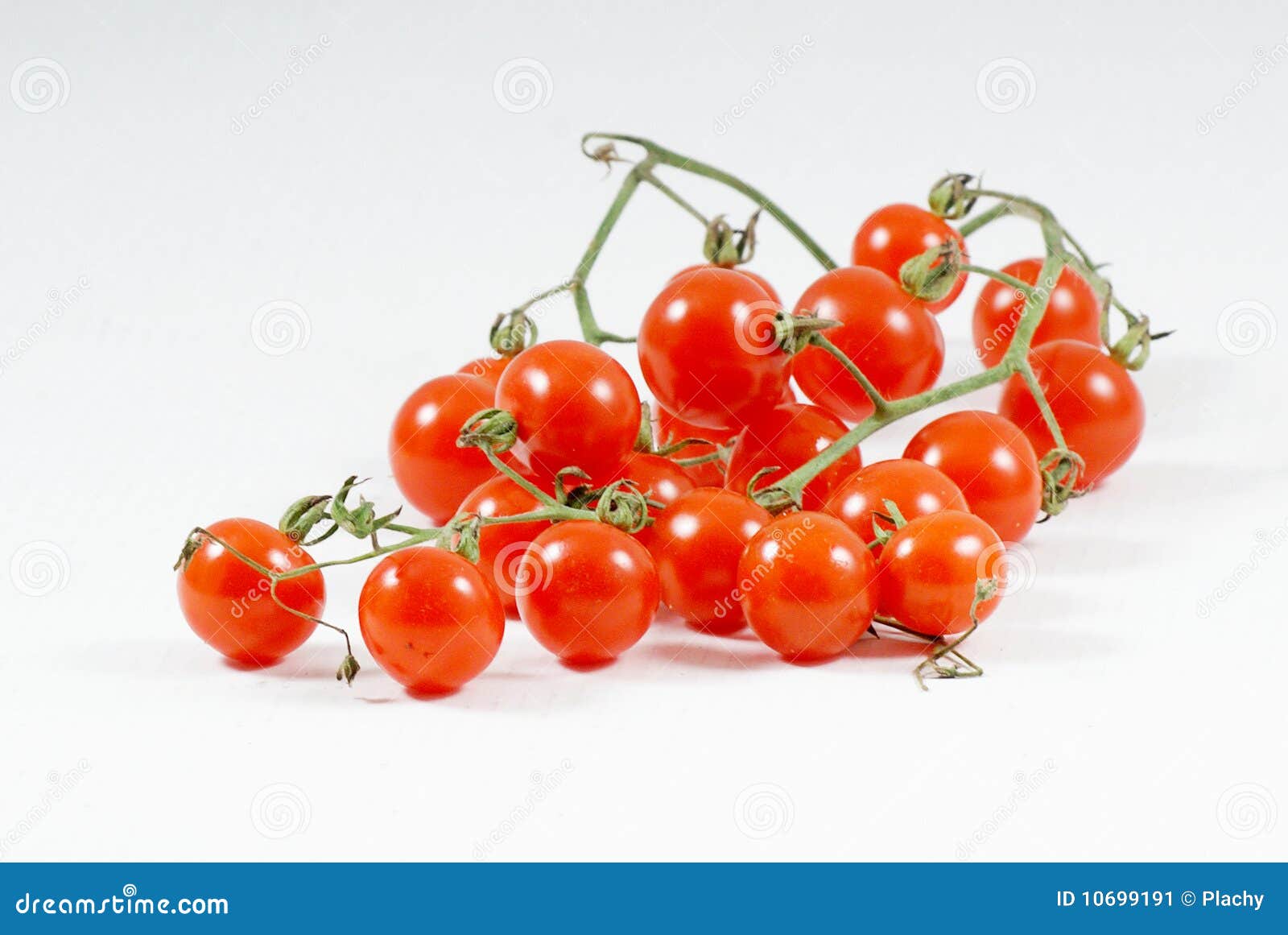 Little Red Tomatoes. stock image. Image of vegetables - 10699191