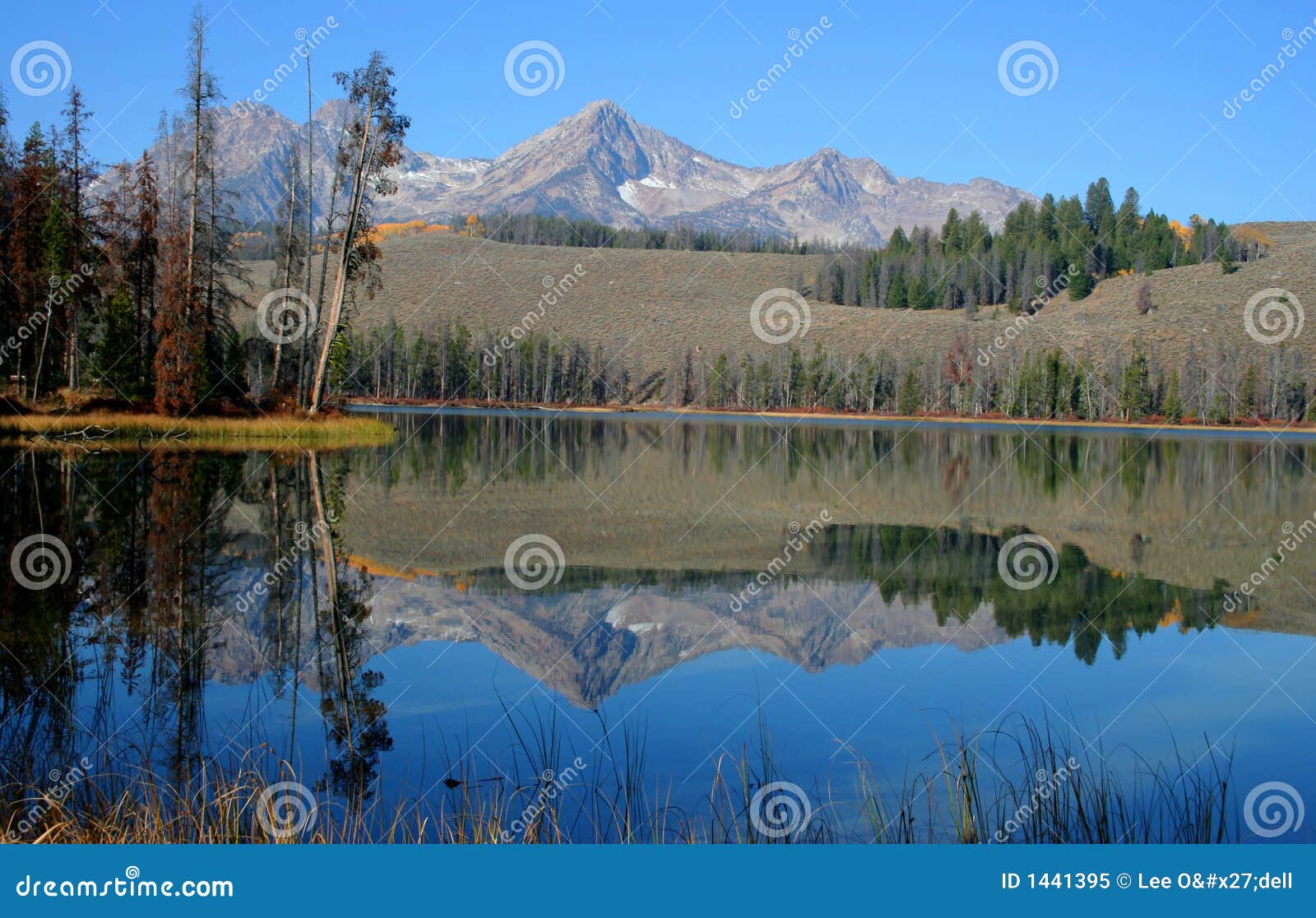 Little Redfish Lake stock image. Image of fall, sawtooth - 1441395