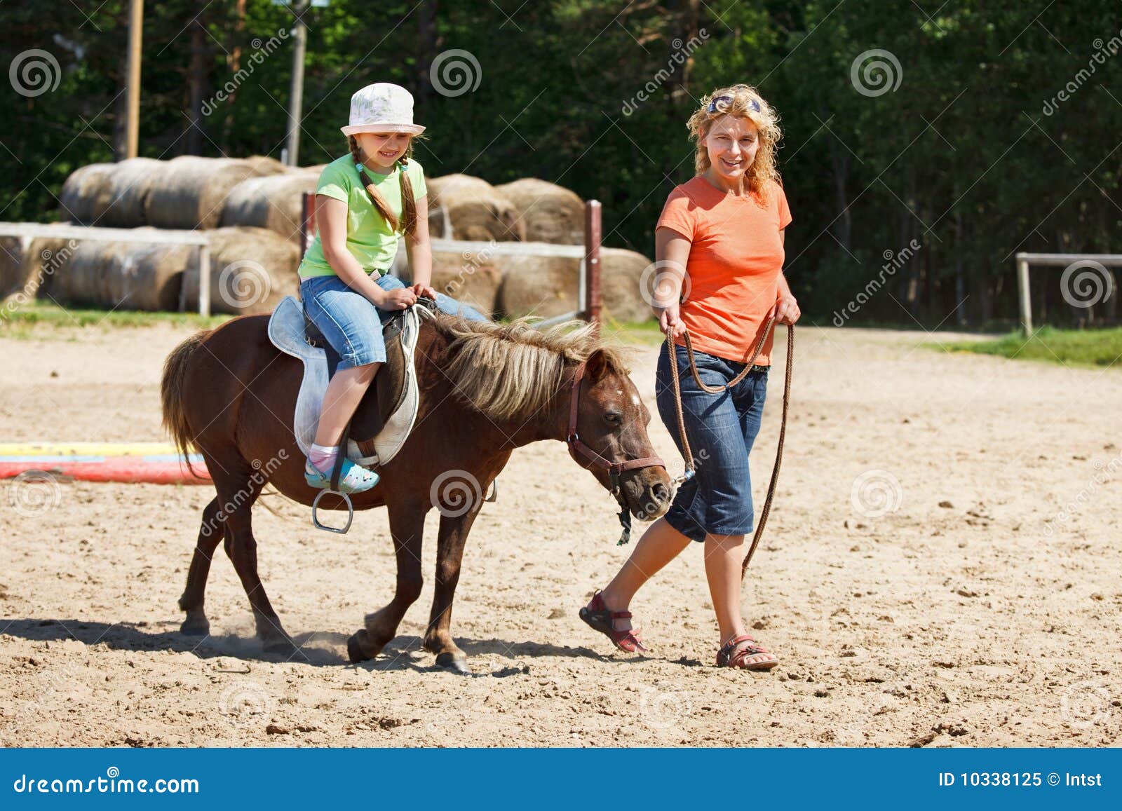 Little riding pony stock image. Image of animal, pony - 10338125