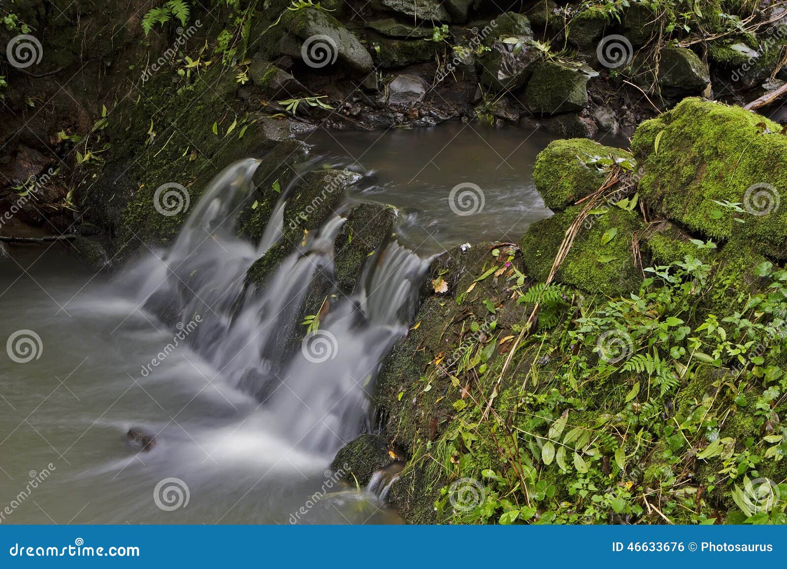 Little rippling brook stock photo. Image of torrent, brook - 46633676