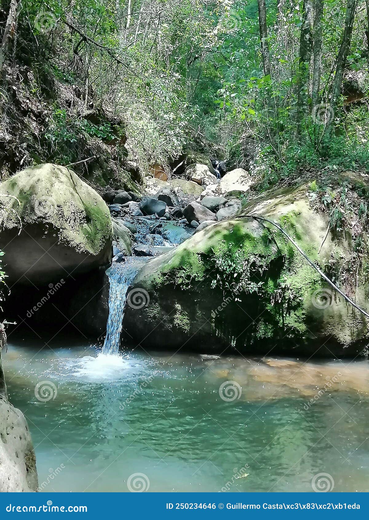 The little River stock photo. Image of creek, waterfall - 250234646