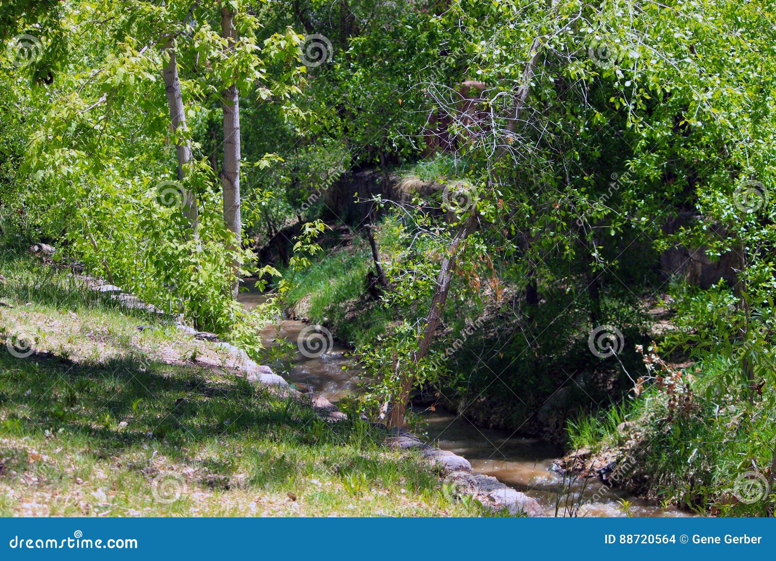 Little River, Big Landscape Stock Photo - Image of landscape, grass ...