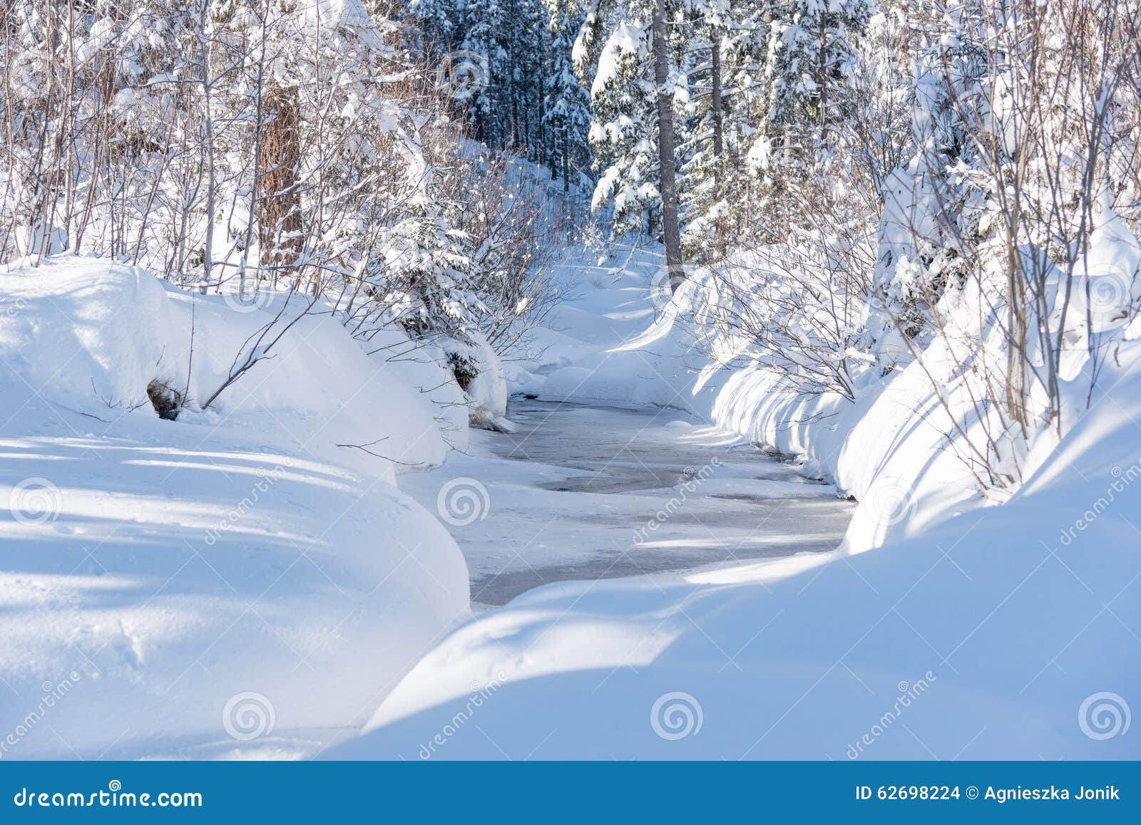 Little River in Forest Covered with Snow Stock Photo - Image of snow ...