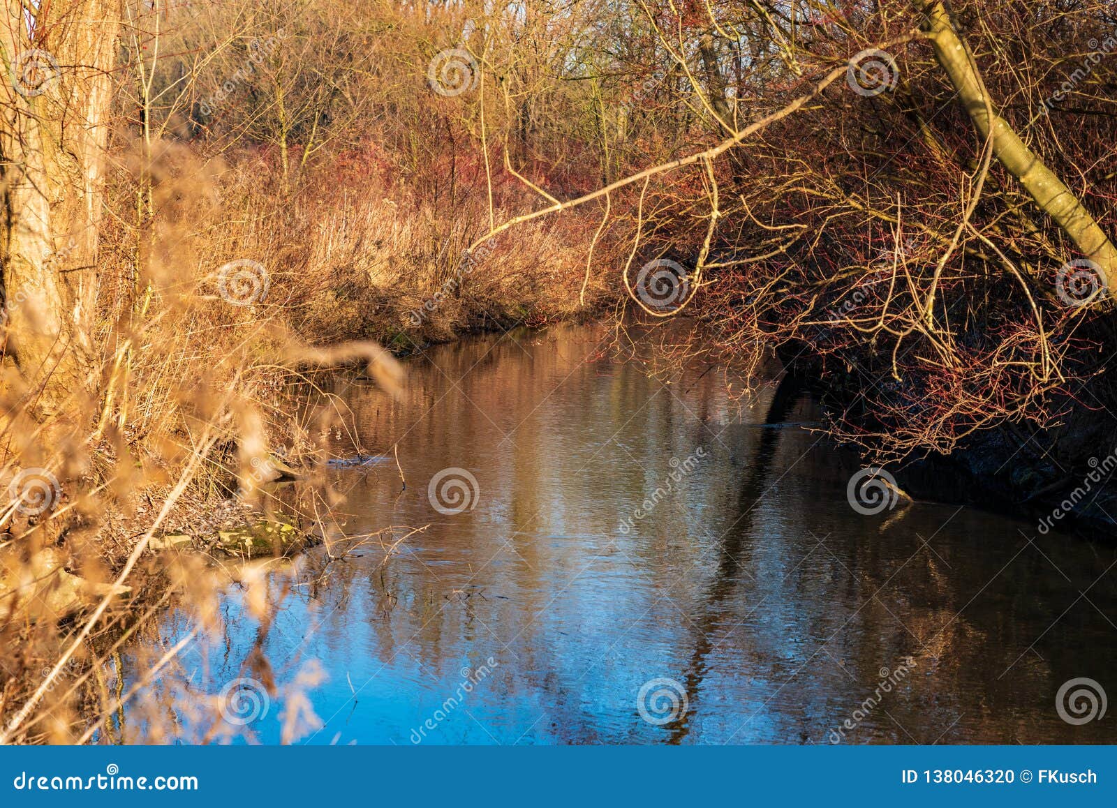 Little River in the Morning Sun Stock Photo - Image of outdoor, little ...