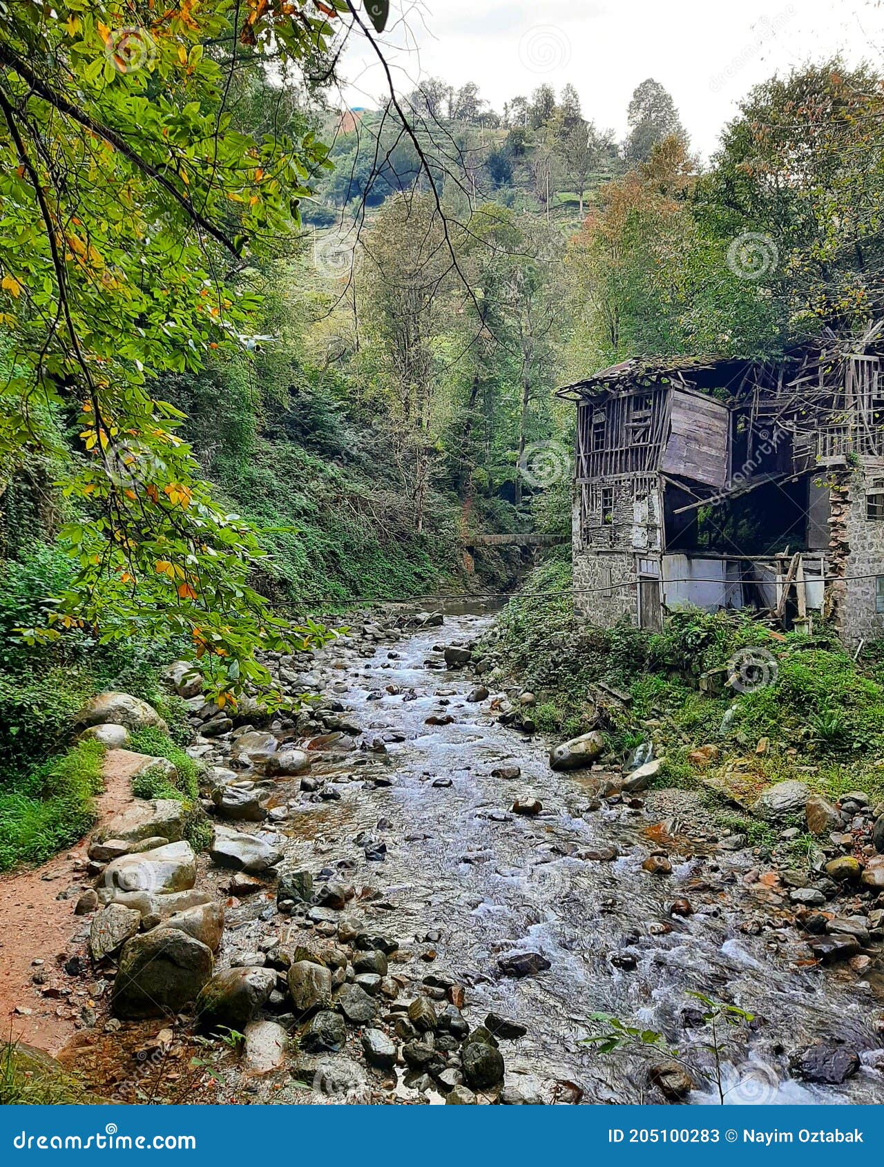 Little river and rock stock image. Image of valley, ruins - 205100283