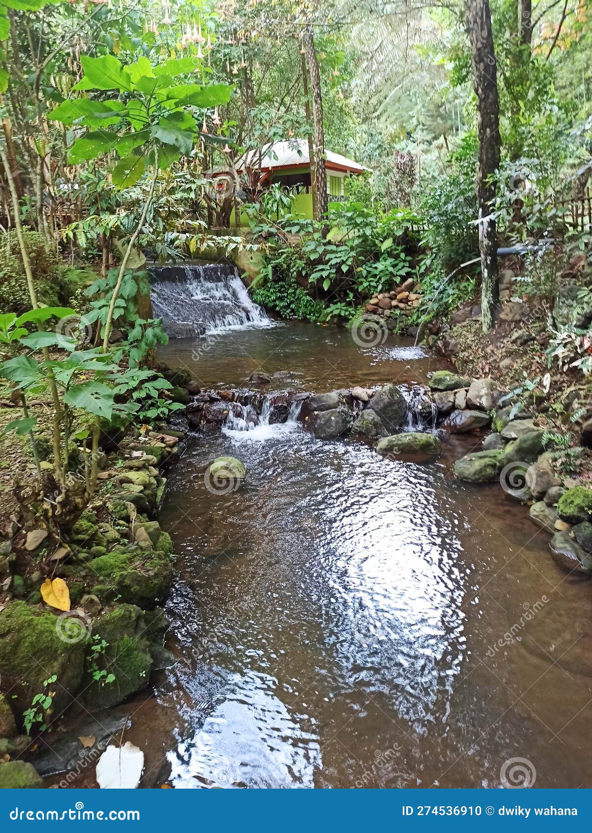 Little River at Subang West Java Stock Photo - Image of west, little ...