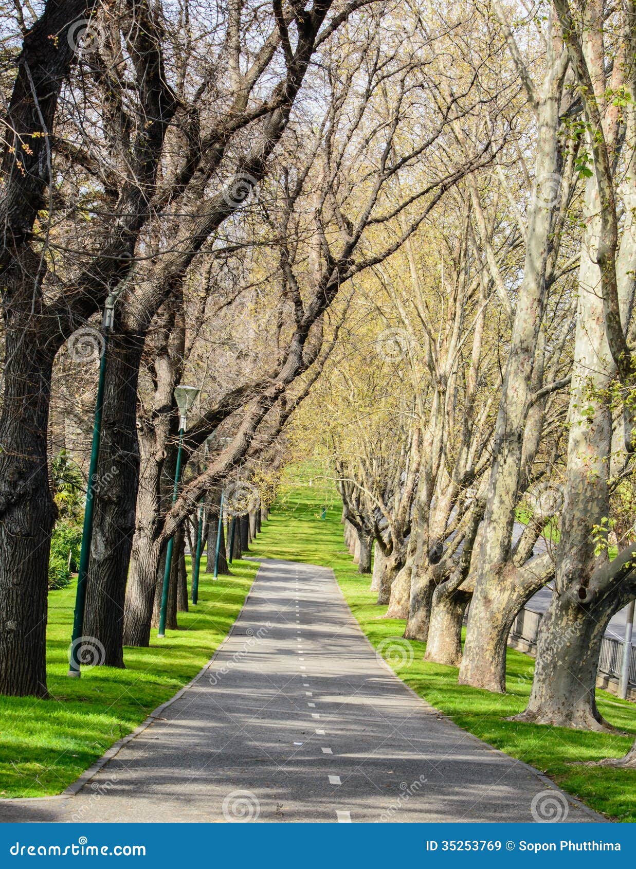 Little road stock image. Image of path, grass, autumn - 35253769