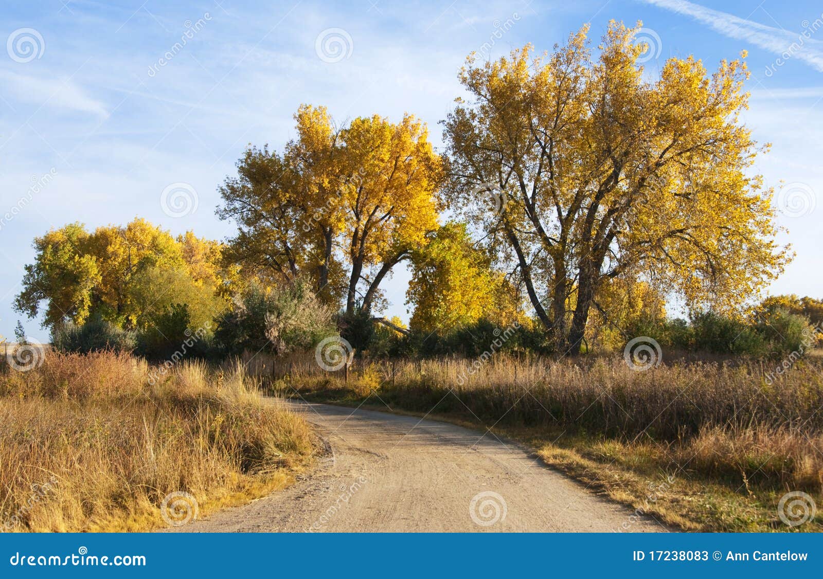 Little Road on the Colorado Prairie Stock Image - Image of autumn ...