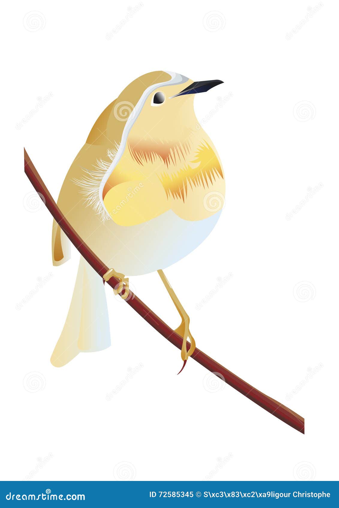 Little Robin On Branch Cartoon Vector | CartoonDealer.com #72585345
