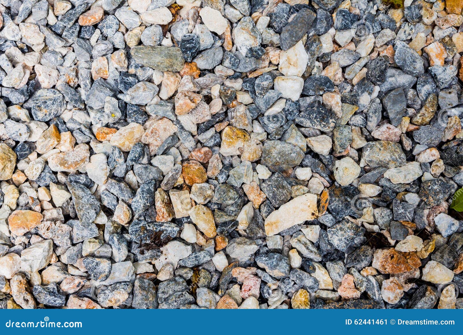 Little rock fotografering för bildbyråer. Bild av grym - 62441461