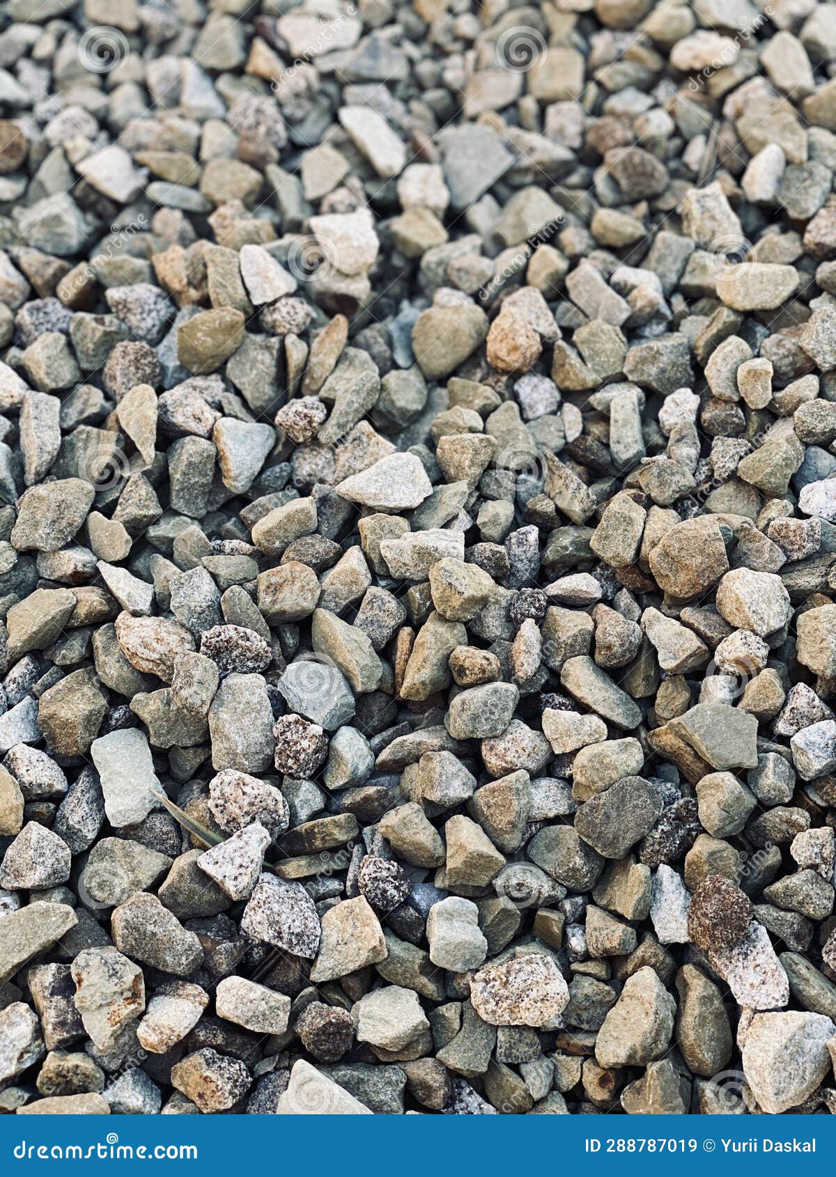 Little rocks on the ground stock image. Image of little - 288787019